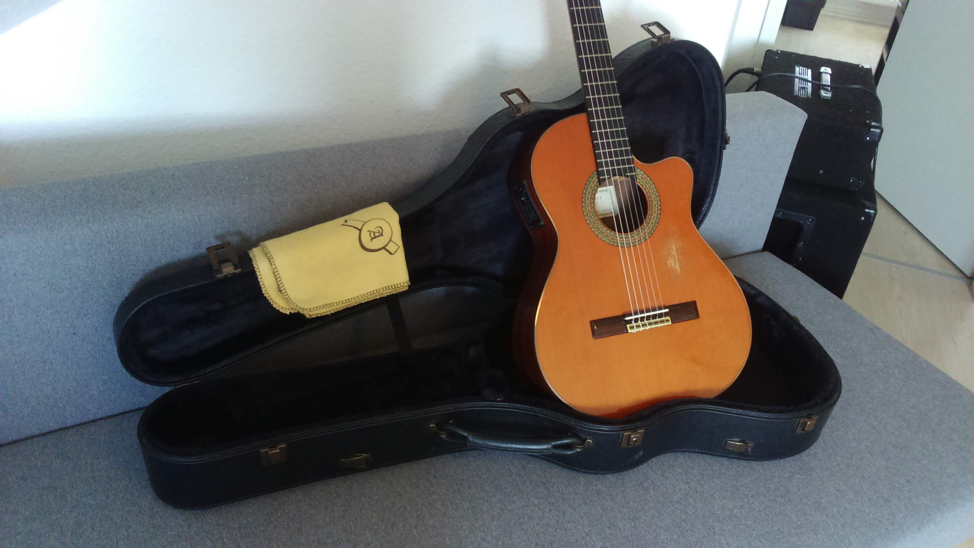 9P CW - Alhambra Guitars 9P CW - Audiofanzine