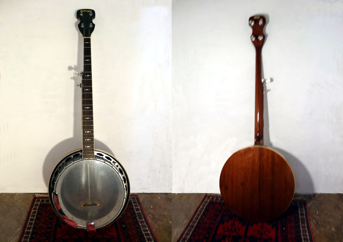 banjo 5 cordes - Aria banjo 5 cordes - Audiofanzine