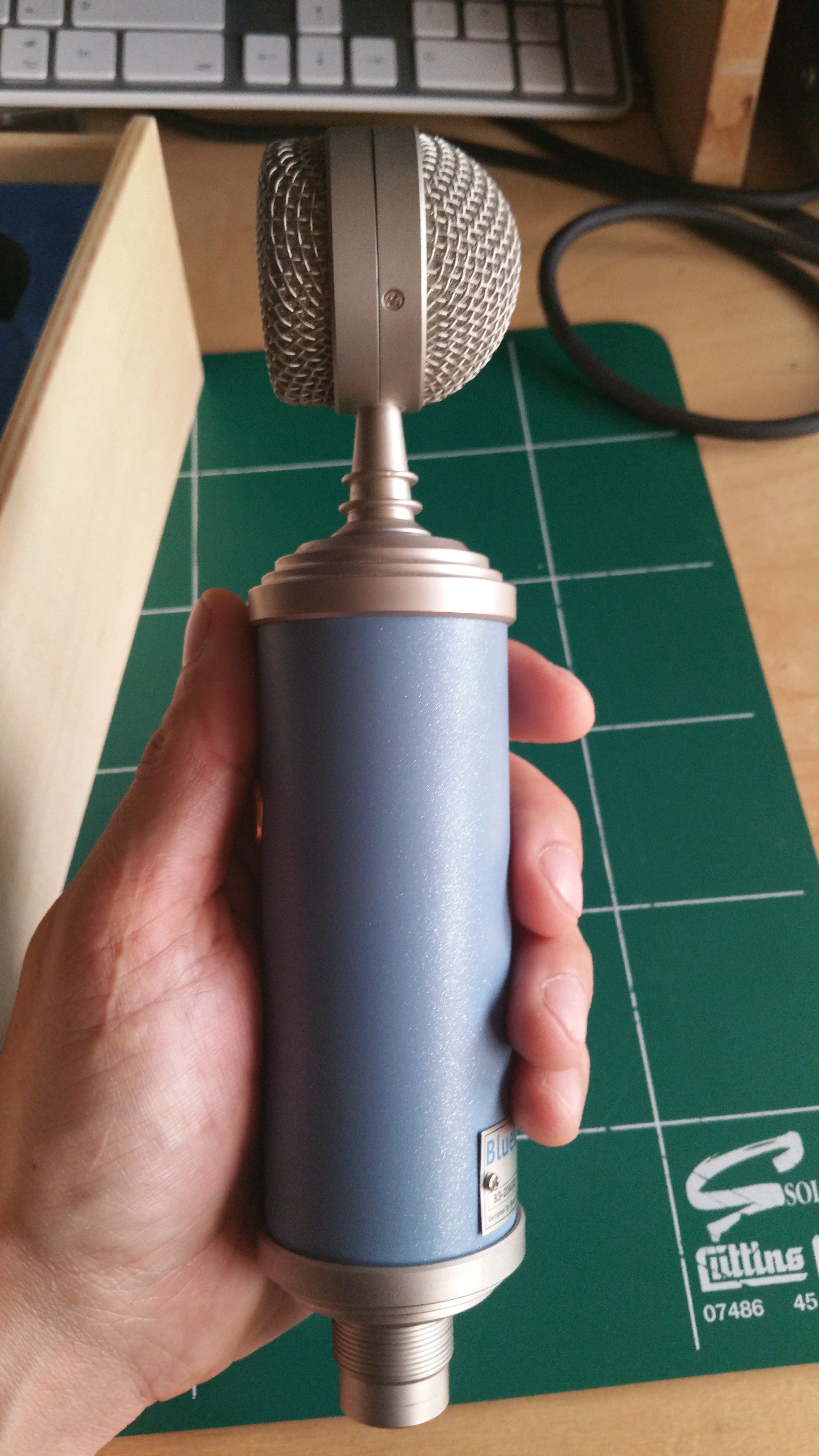 Blue Microphones Bluebird image (#1817798) - Audiofanzine