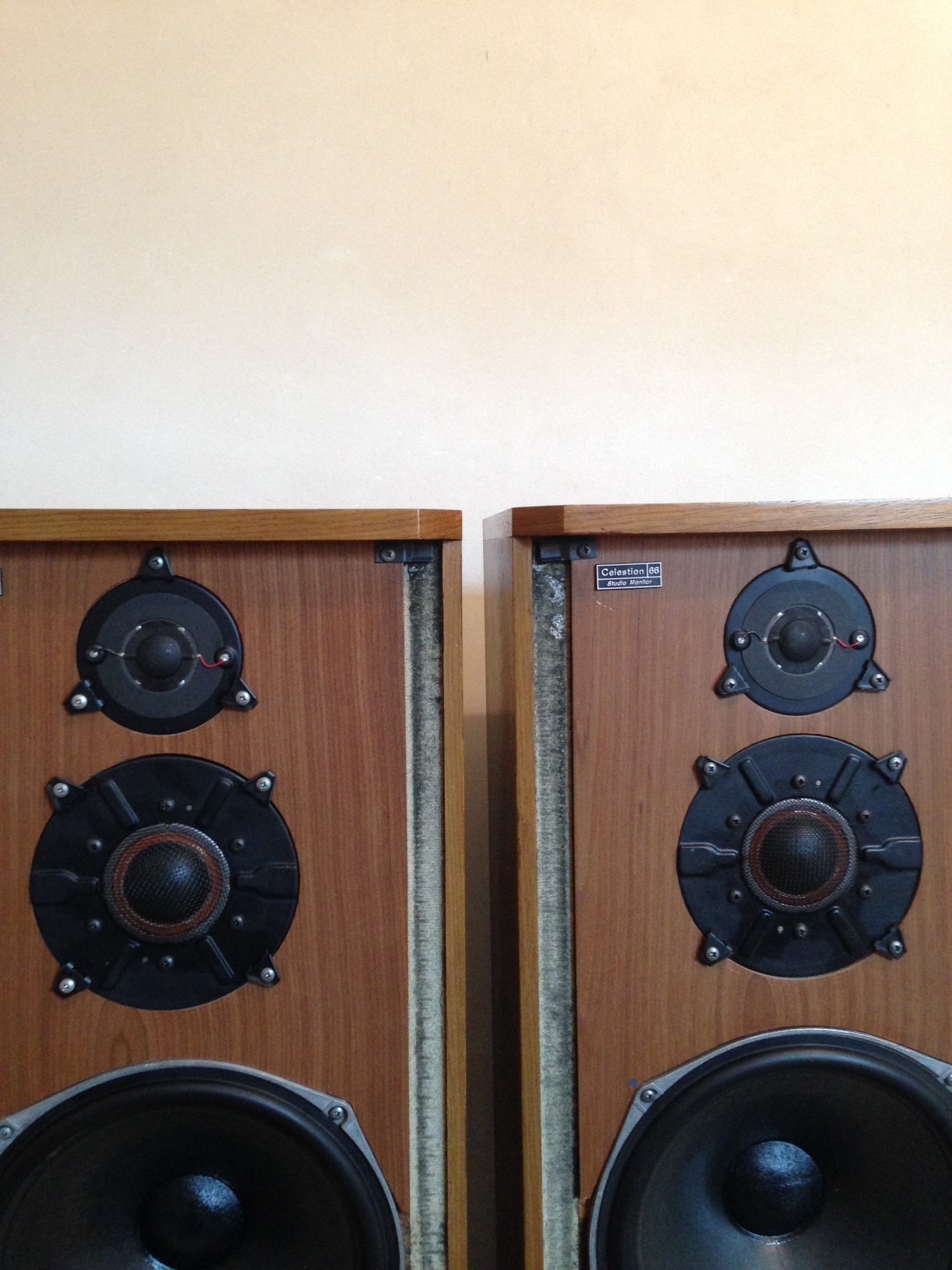 DITTON 66 STUDIO MONITOR - Celestion Ditton 66 Studio Monitor ...