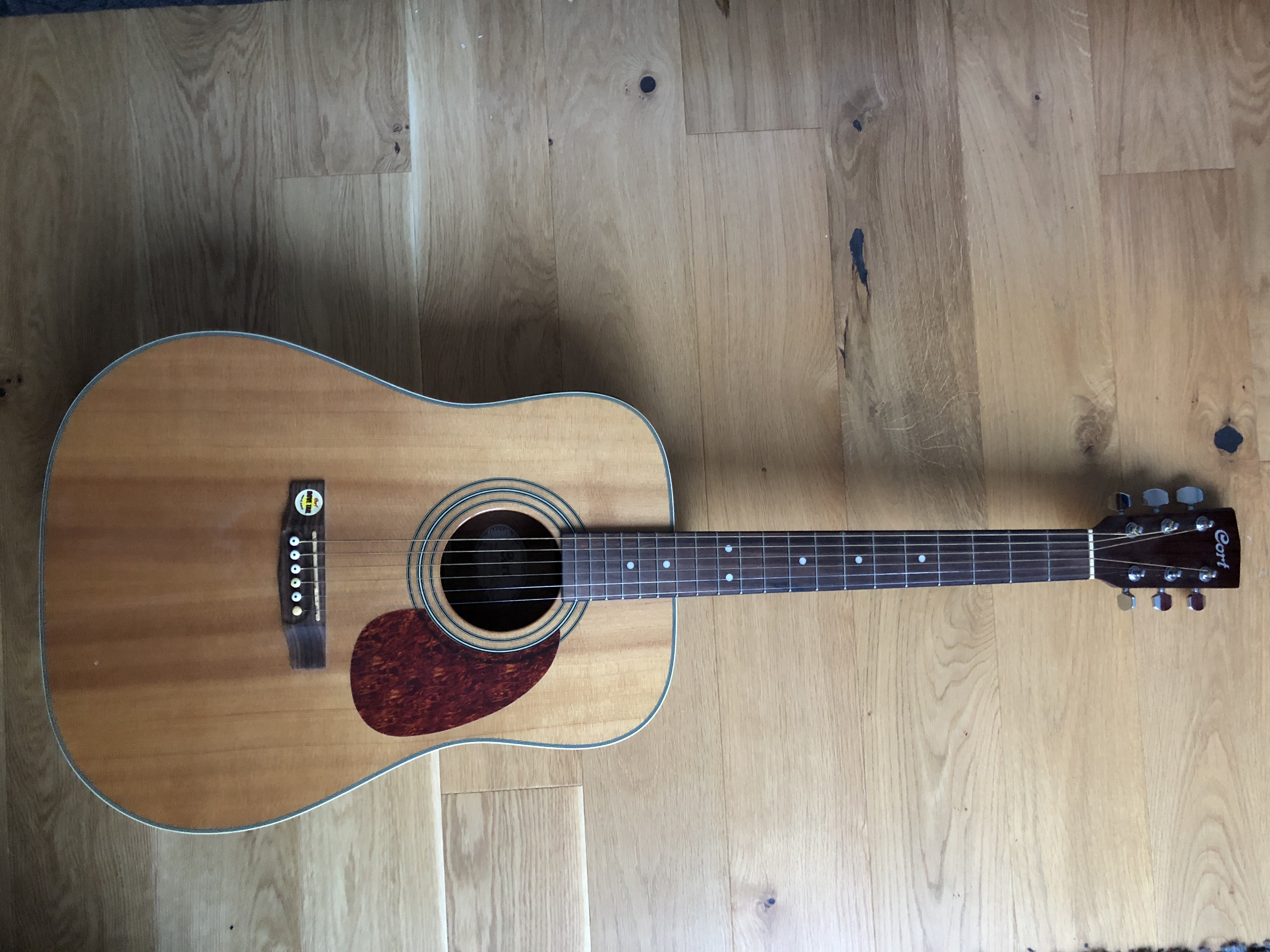 Earth 70E - Cort Earth 70E - Audiofanzine