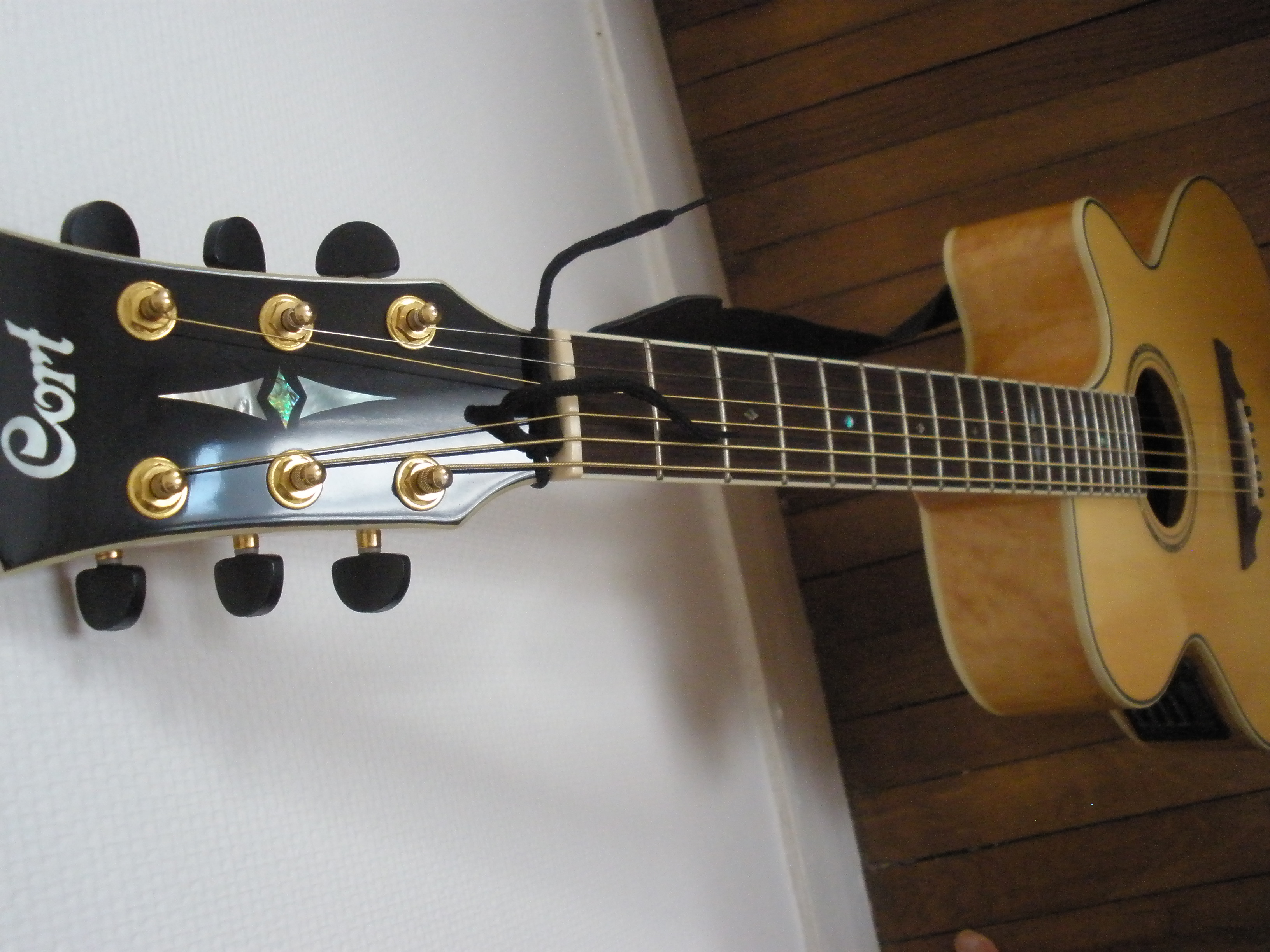 SFX10 - Cort SFX10 - Audiofanzine