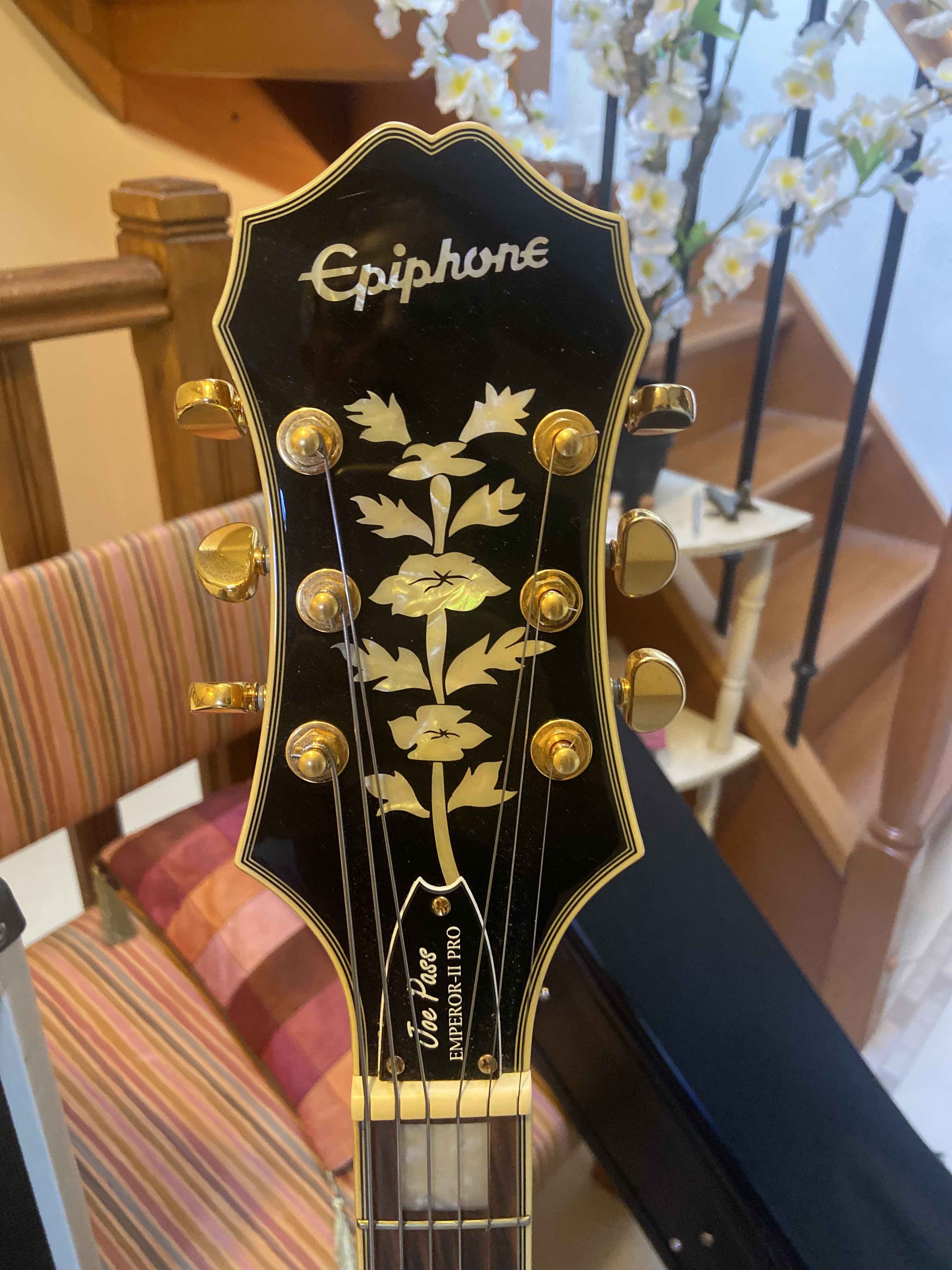 Joe Pass Emperor II Pro - Epiphone Joe Pass Emperor II Pro - Audiofanzine