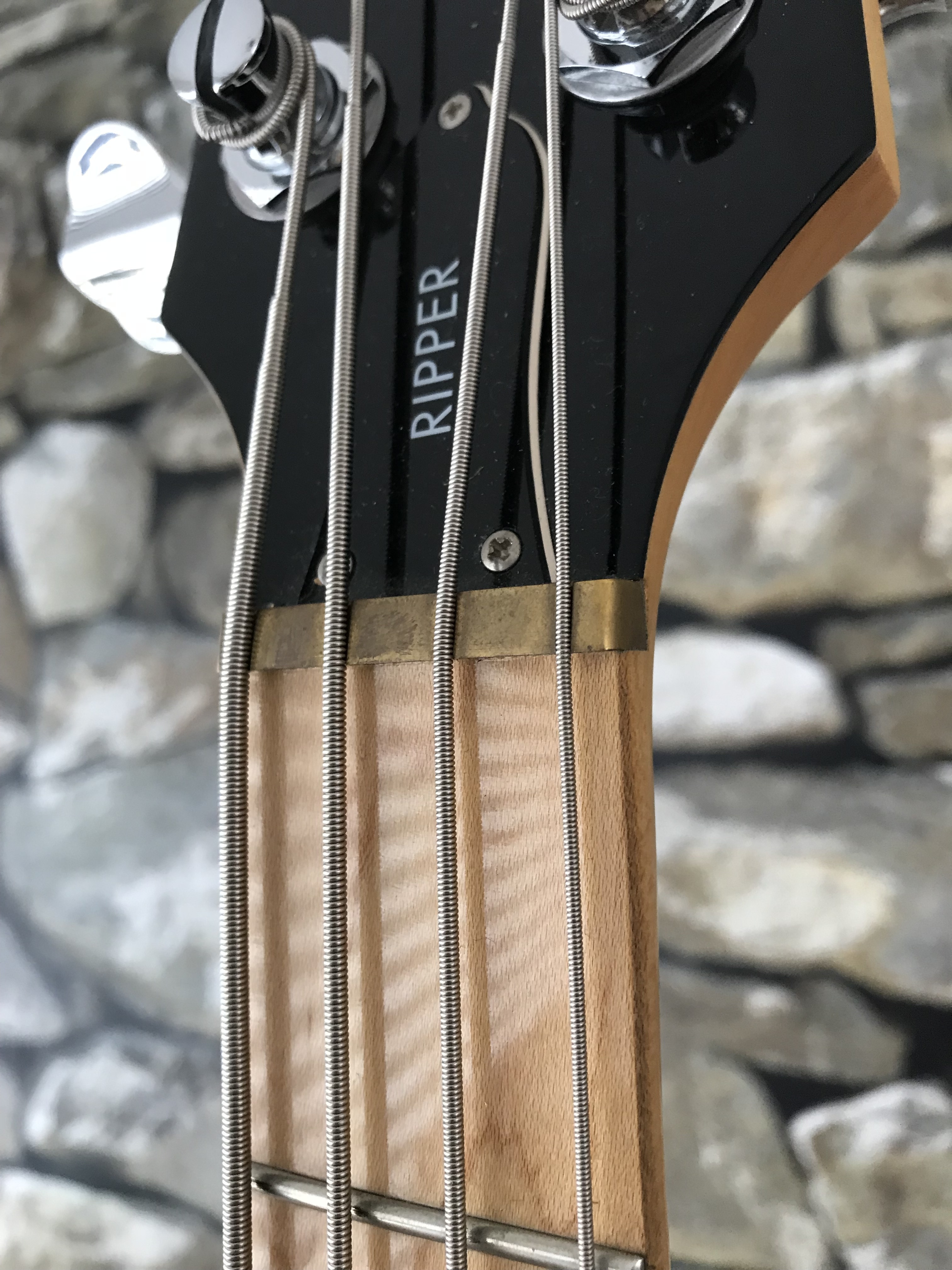 Ripper Bass - Epiphone Ripper Bass - Audiofanzine
