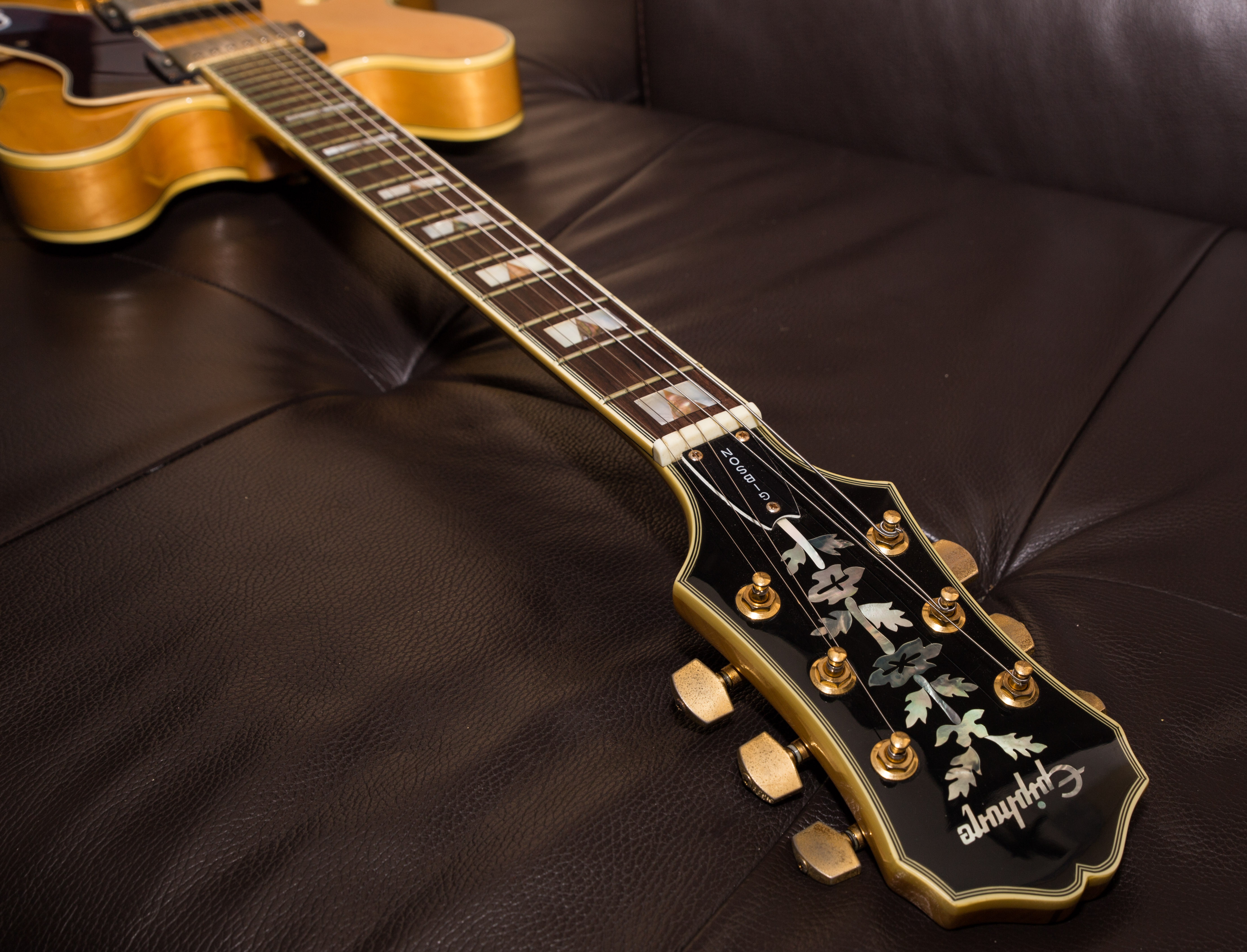 SHERATON - Epiphone Sheraton - Audiofanzine