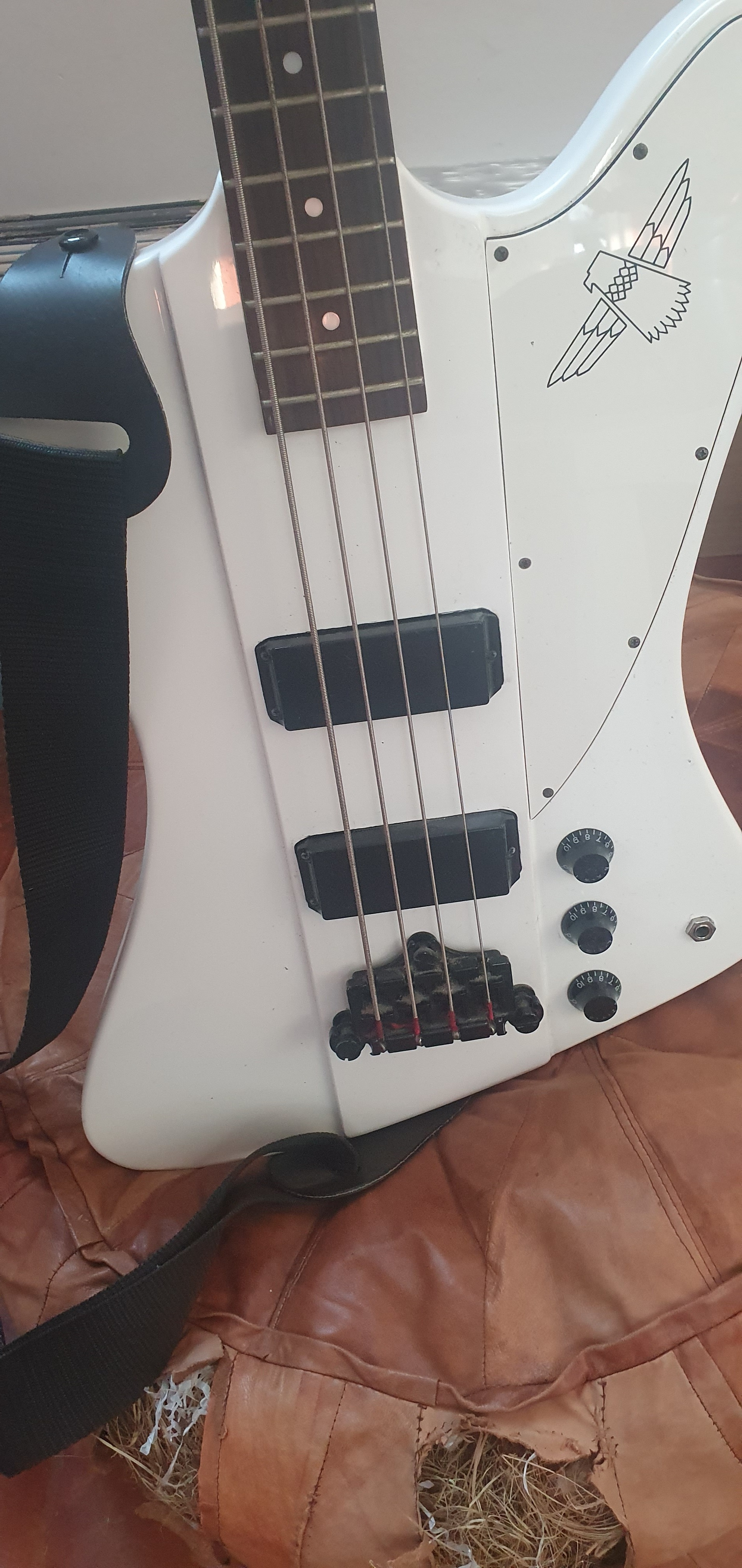 Thunderbird-IV - Epiphone Thunderbird-IV - Audiofanzine