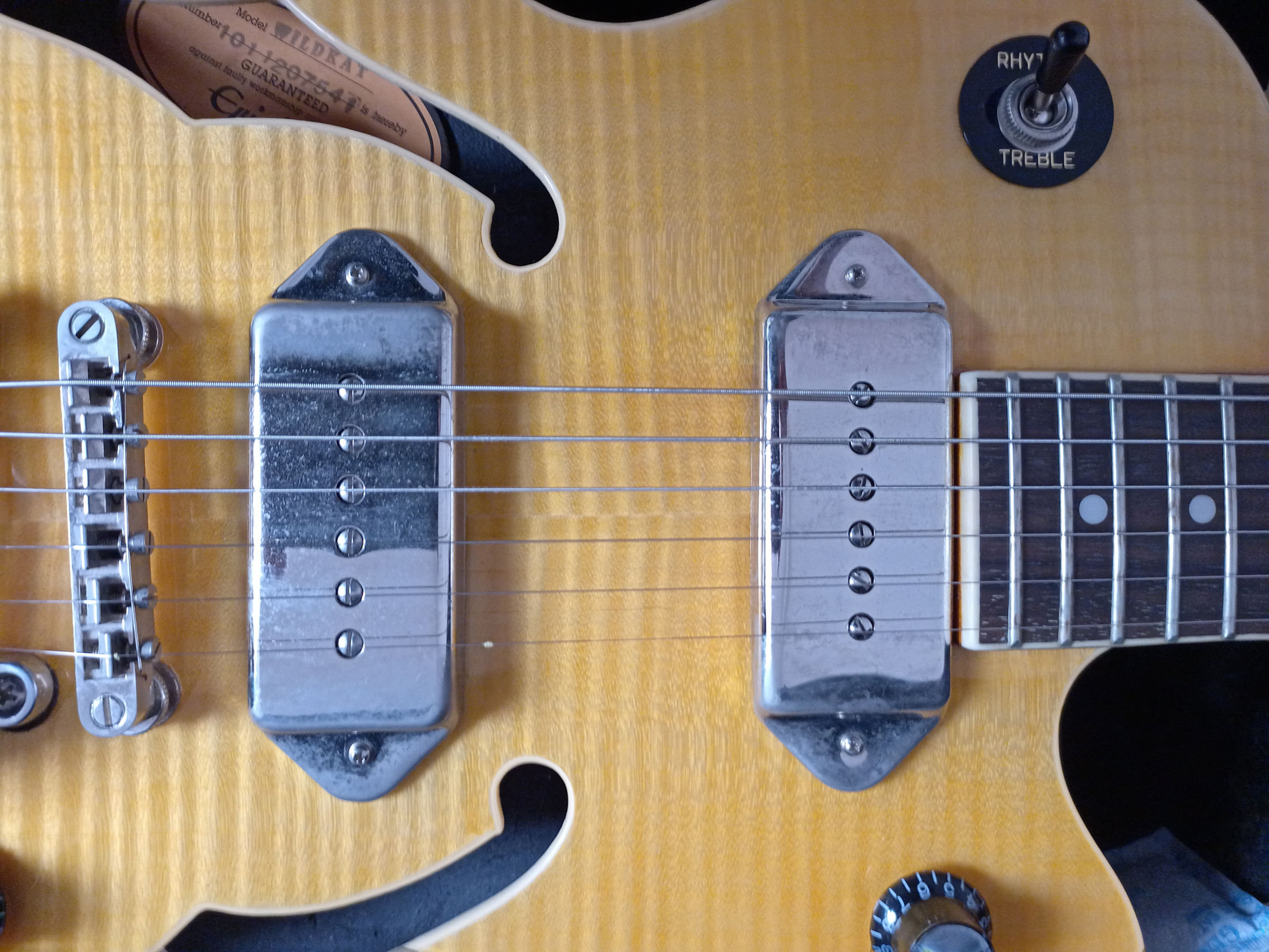 Wildkat - Epiphone Wildkat - Audiofanzine