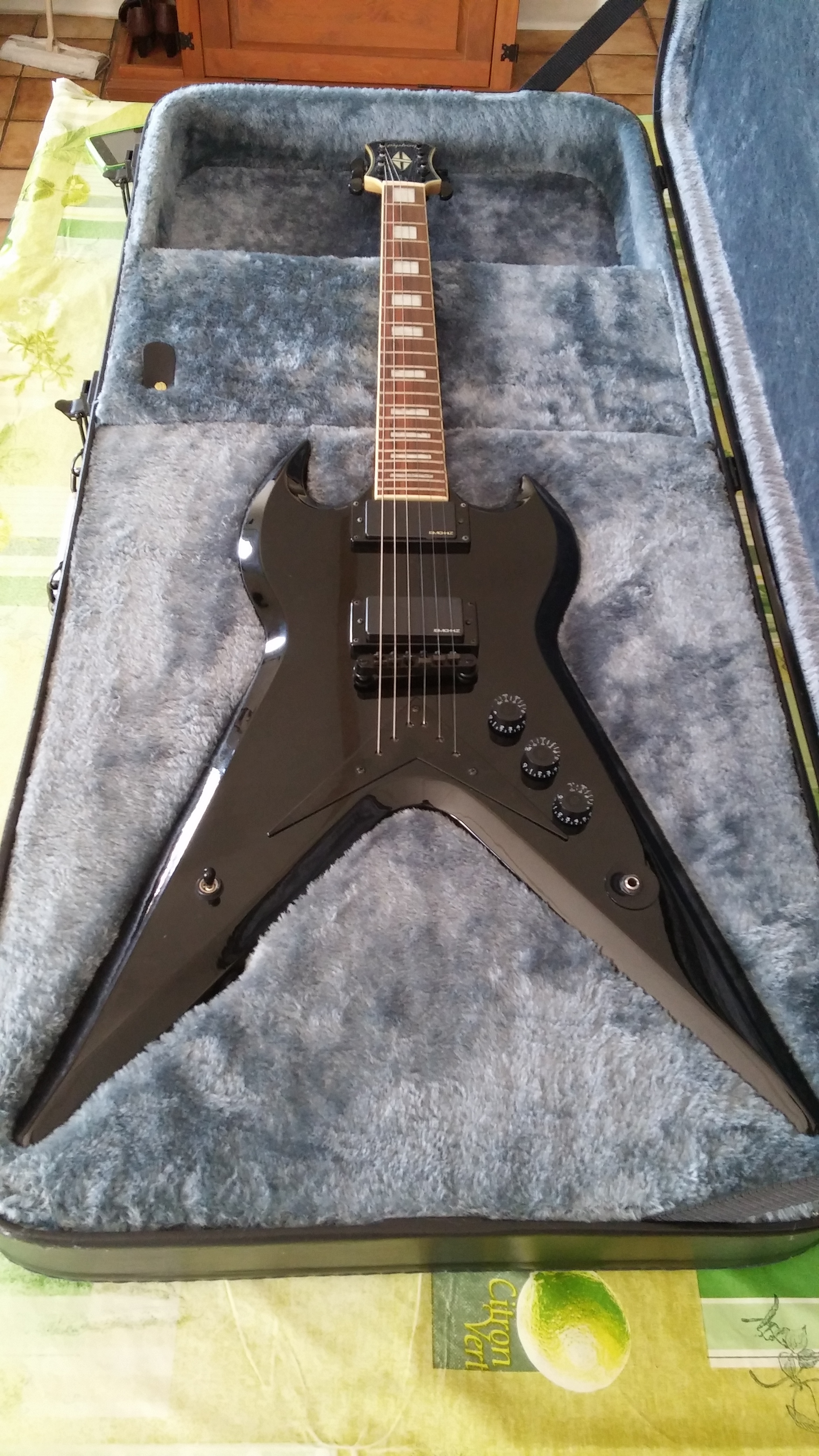 ZAKK WYLDE ZV CUSTOM - Epiphone Zakk Wylde ZV Custom - Audiofanzine