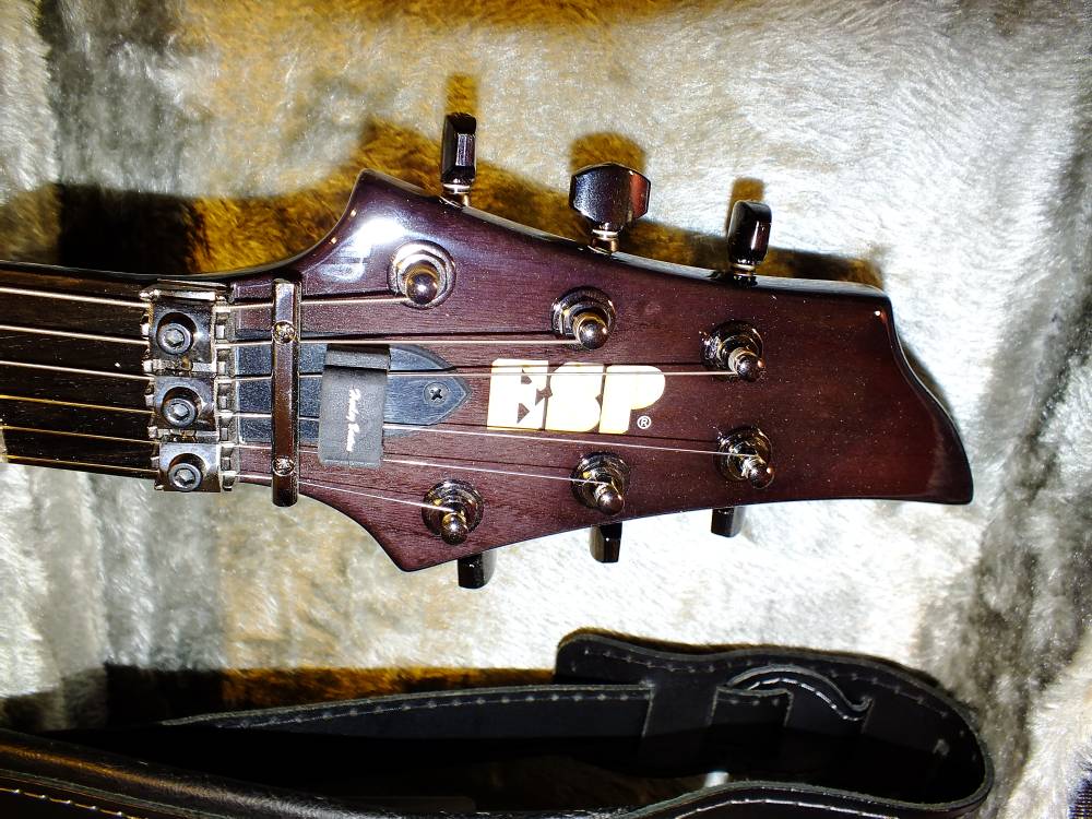 Forest-GT - ESP Forest-GT - Audiofanzine