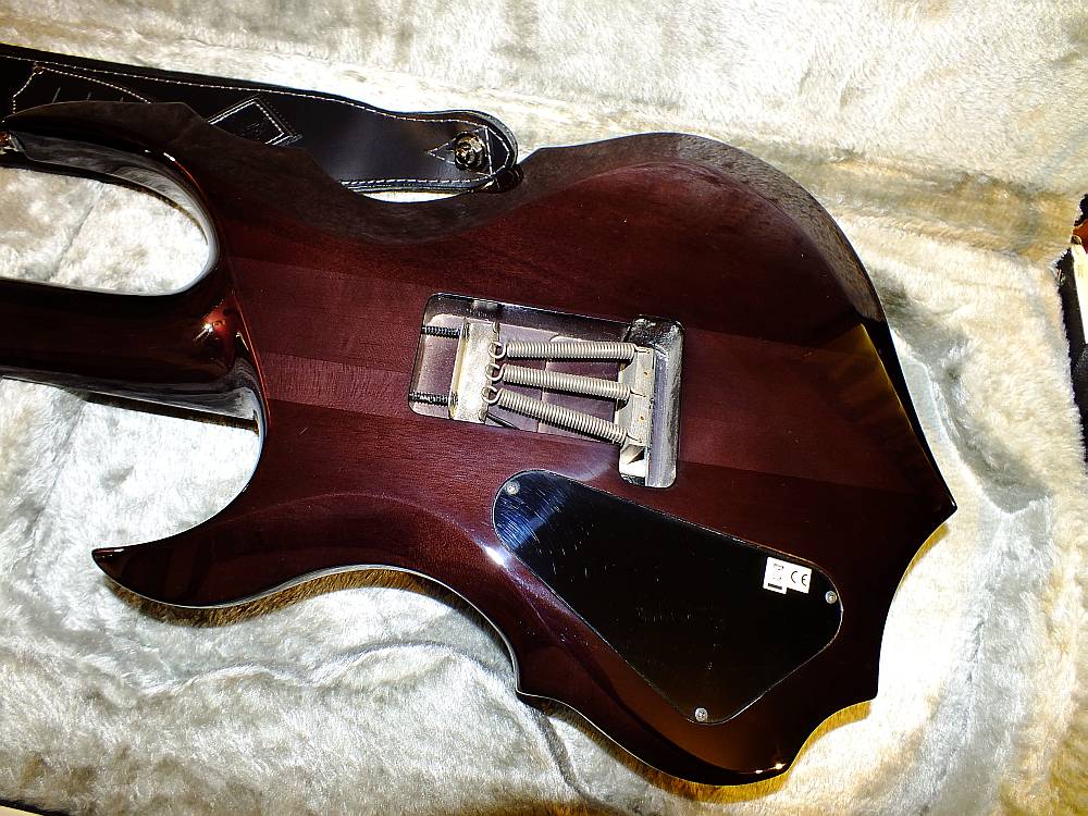 Forest-GT - ESP Forest-GT - Audiofanzine