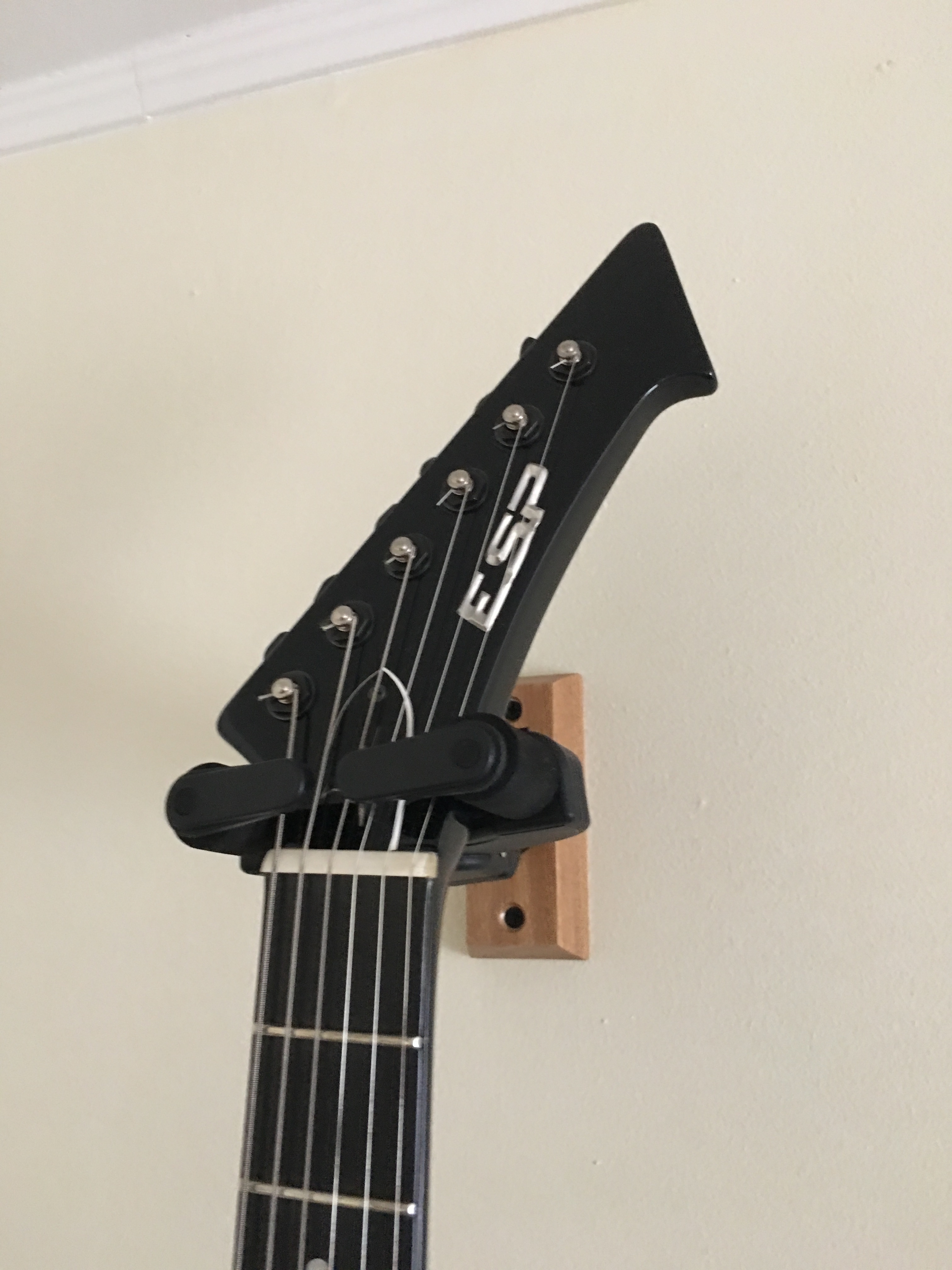 Snakebyte - ESP Snakebyte - Audiofanzine