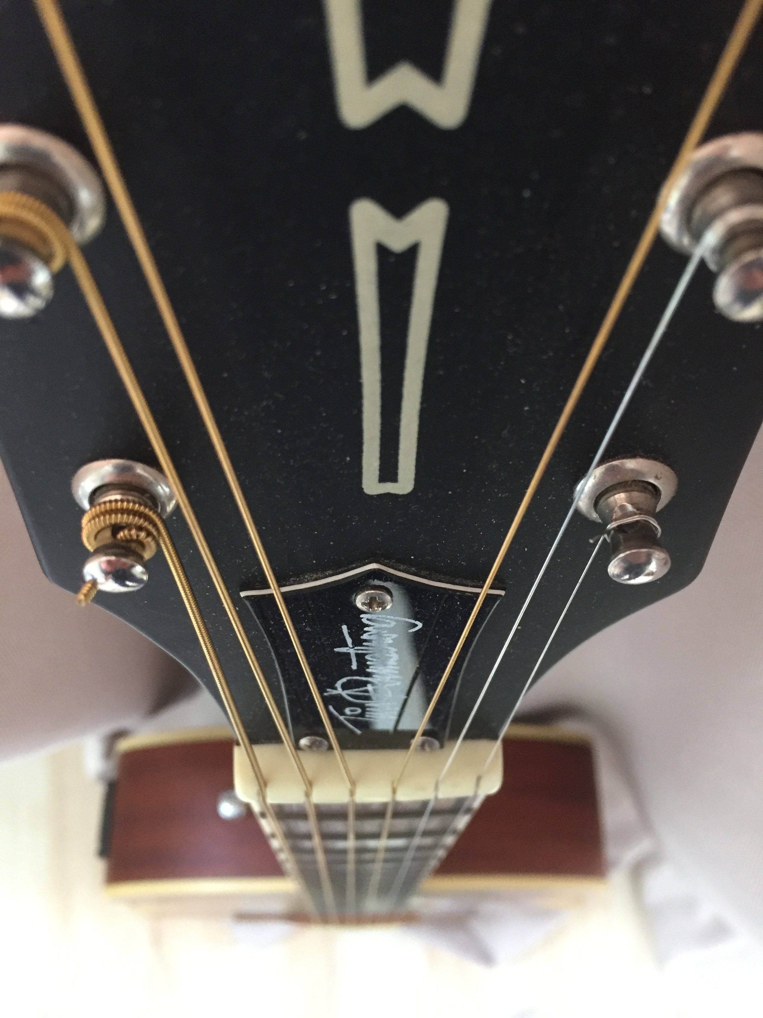 Artist Design Tim Armstrong Hellcat Acoustic Fender - Audiofanzine