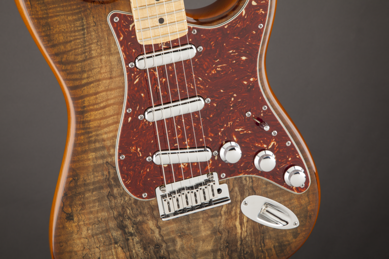 Spalted Maple Top Artisan Stratocaster Maple Fender - Audiofanzine