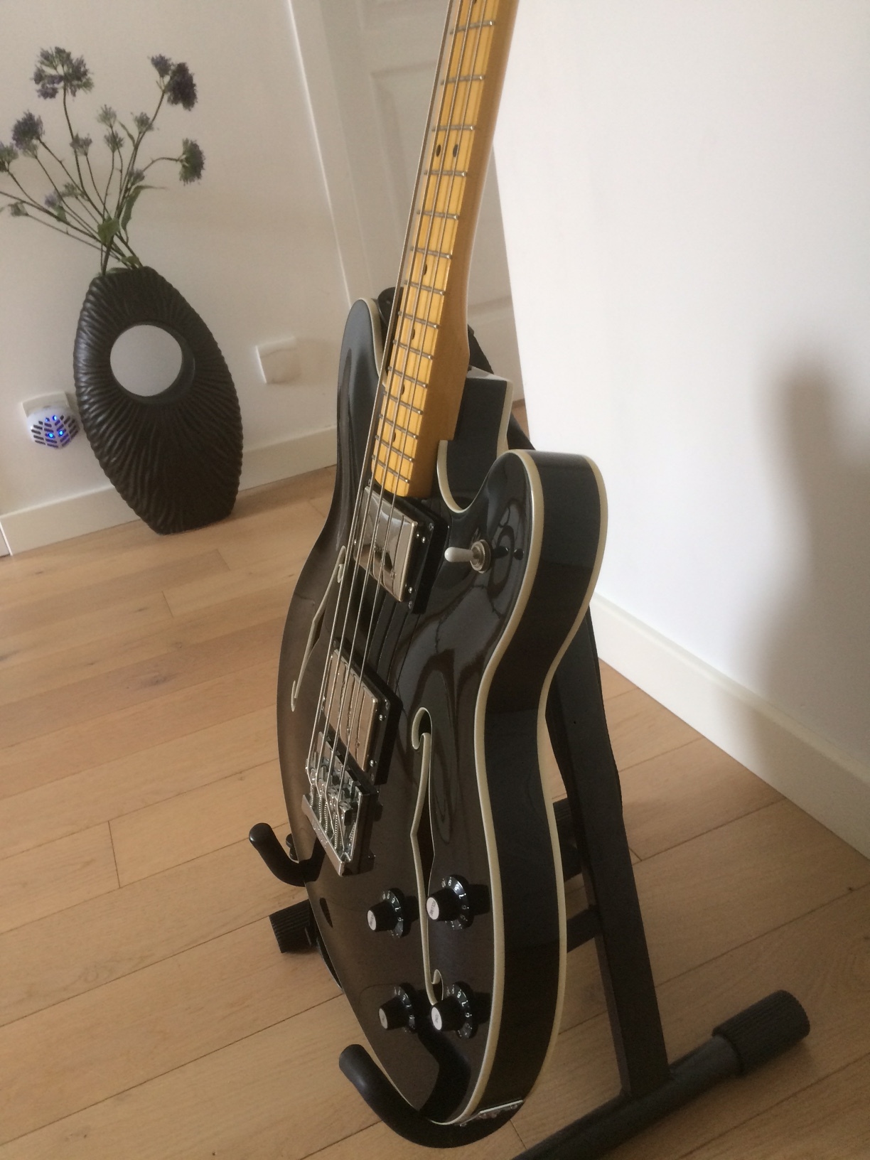 Special Edition Starcaster Bass Fender - Audiofanzine