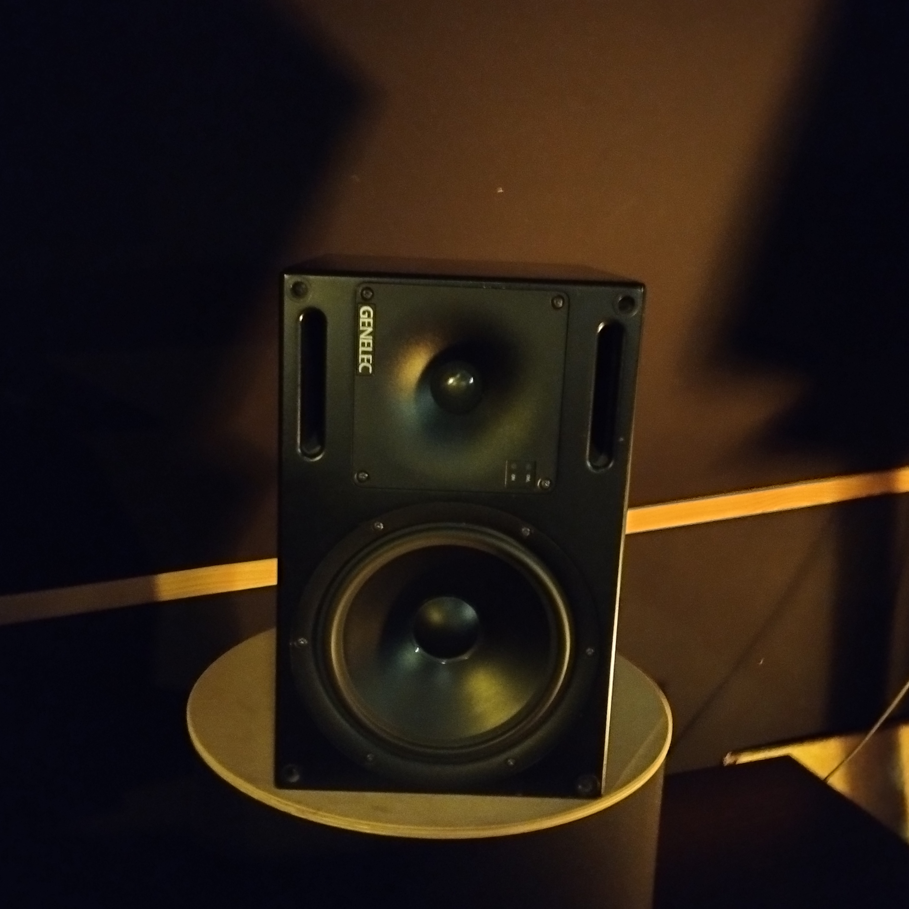 1031A - Genelec 1031A - Audiofanzine