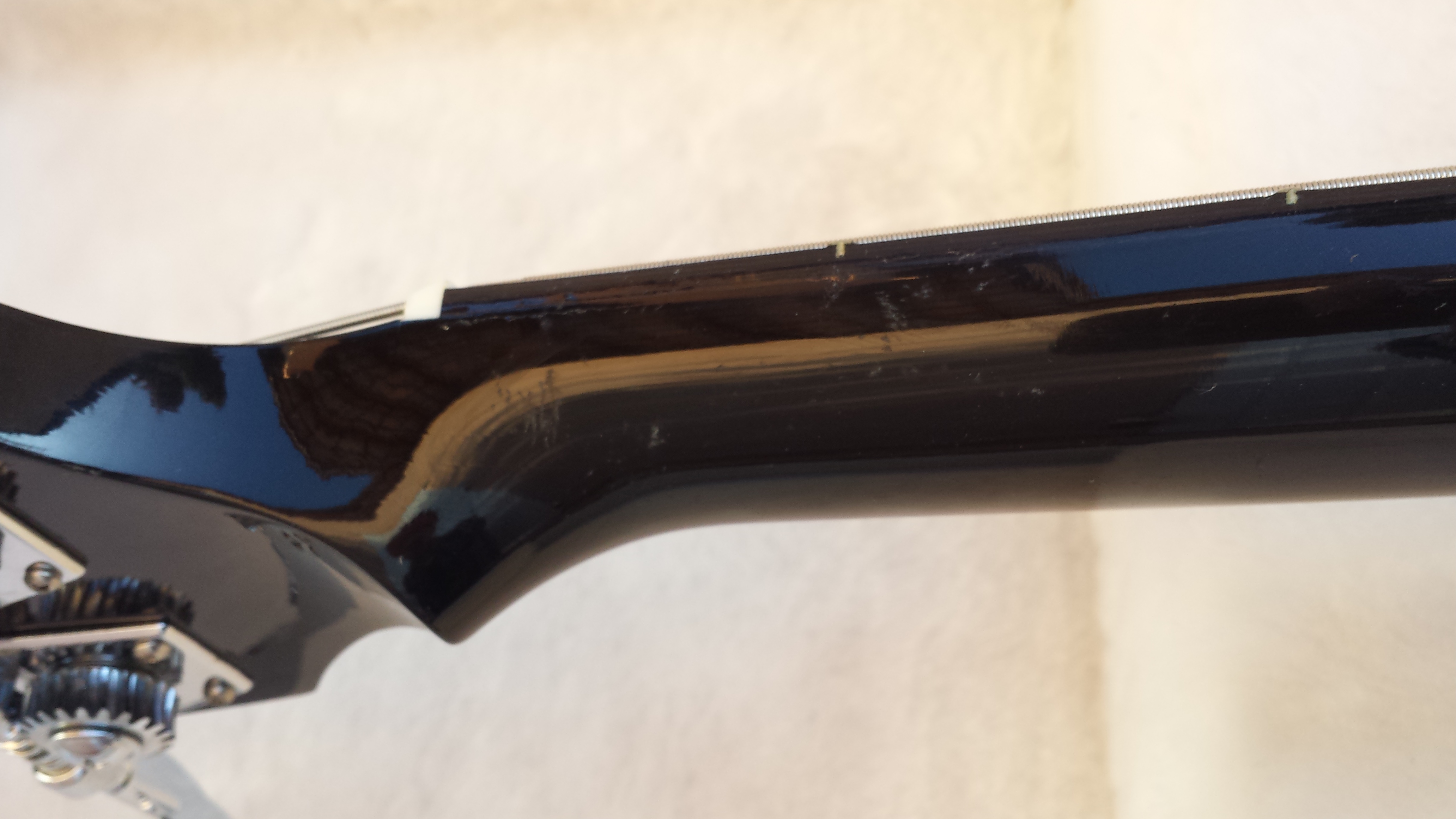 Krist Novoselic Signature RD Bass - Ebony Gibson - Audiofanzine