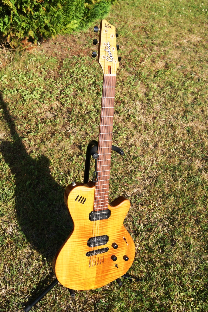 LGX - Godin LGX - Audiofanzine