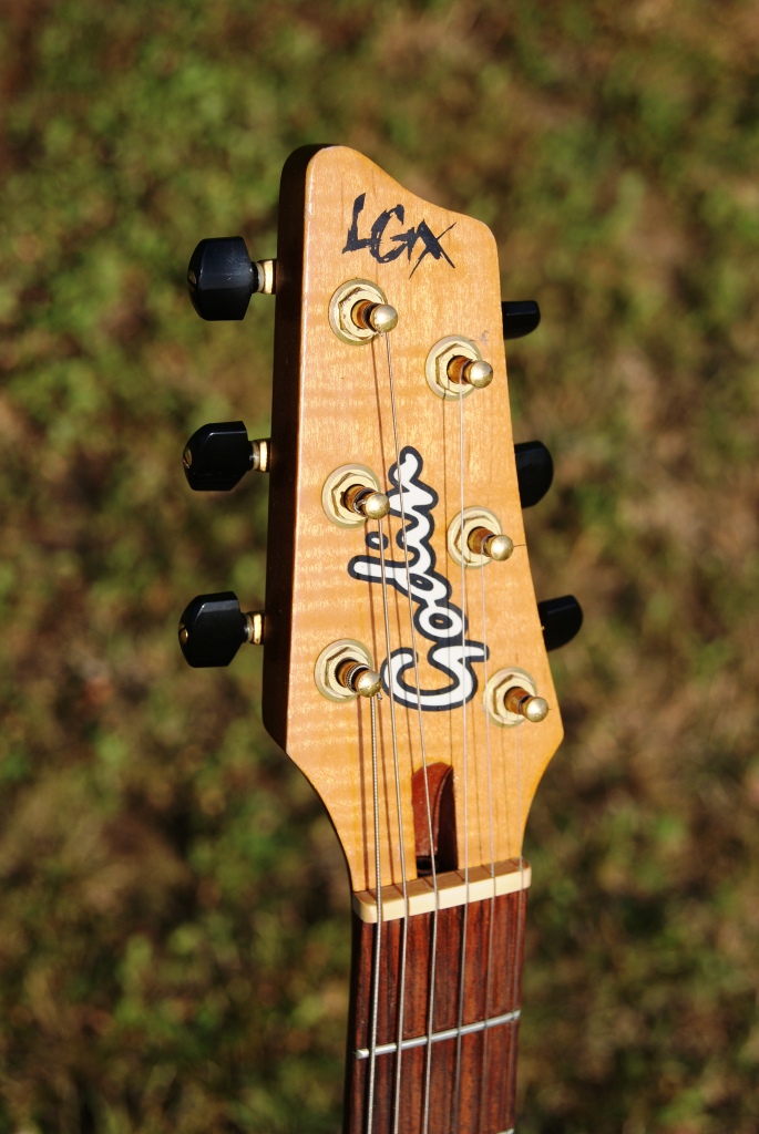 LGX - Godin LGX - Audiofanzine