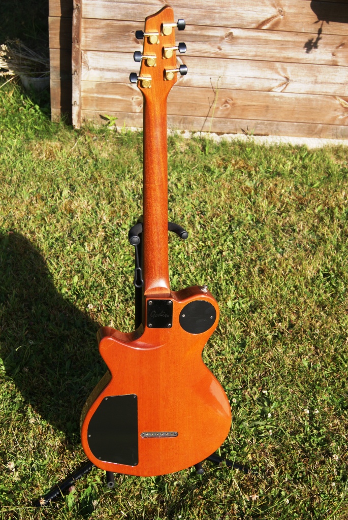 LGX - Godin LGX - Audiofanzine