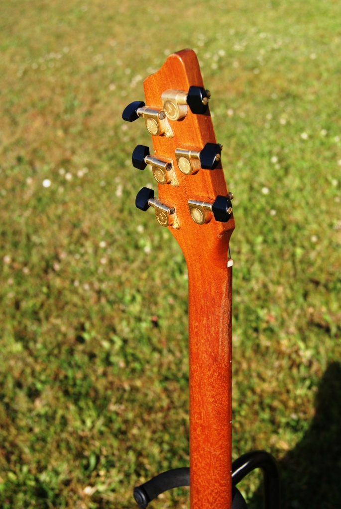 LGX - Godin LGX - Audiofanzine