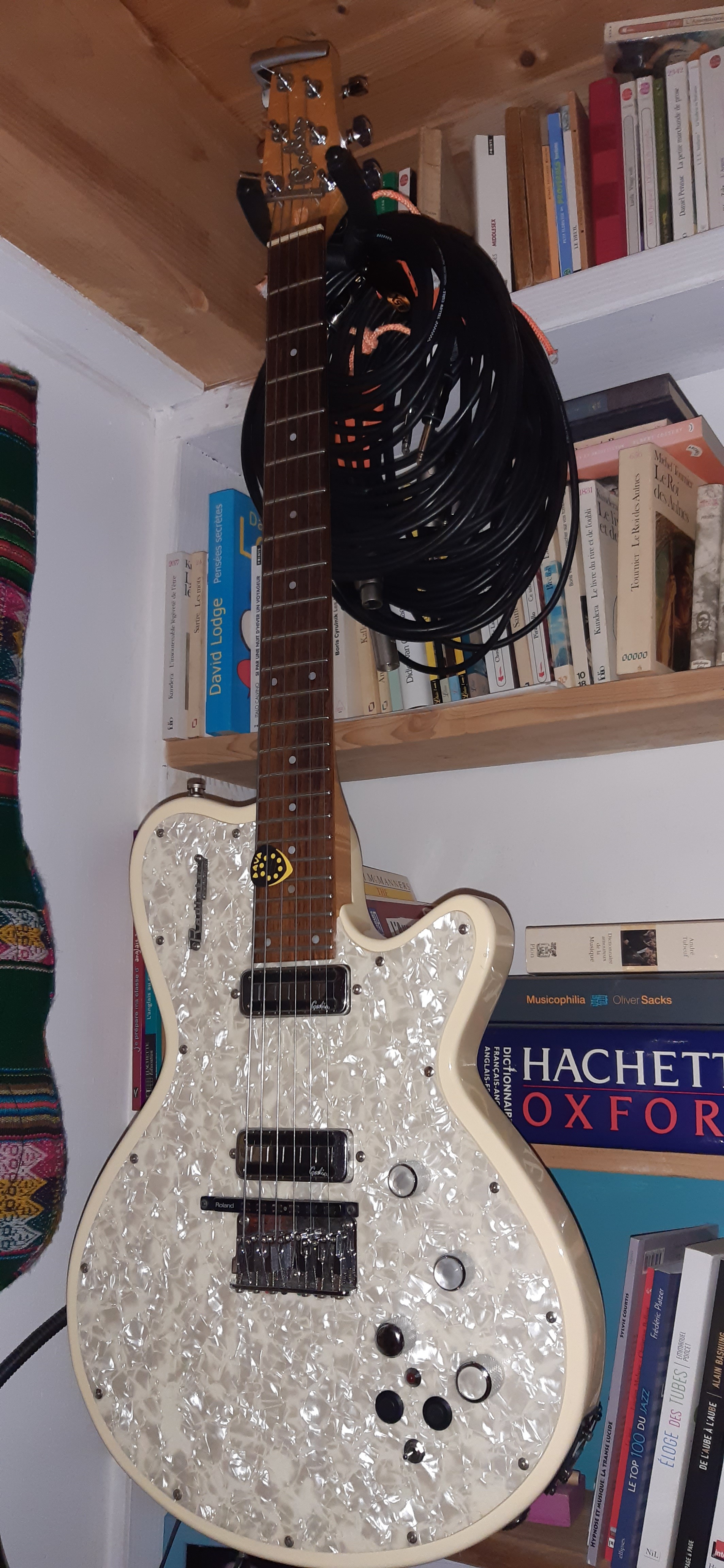 Radiator - Godin Radiator - Audiofanzine