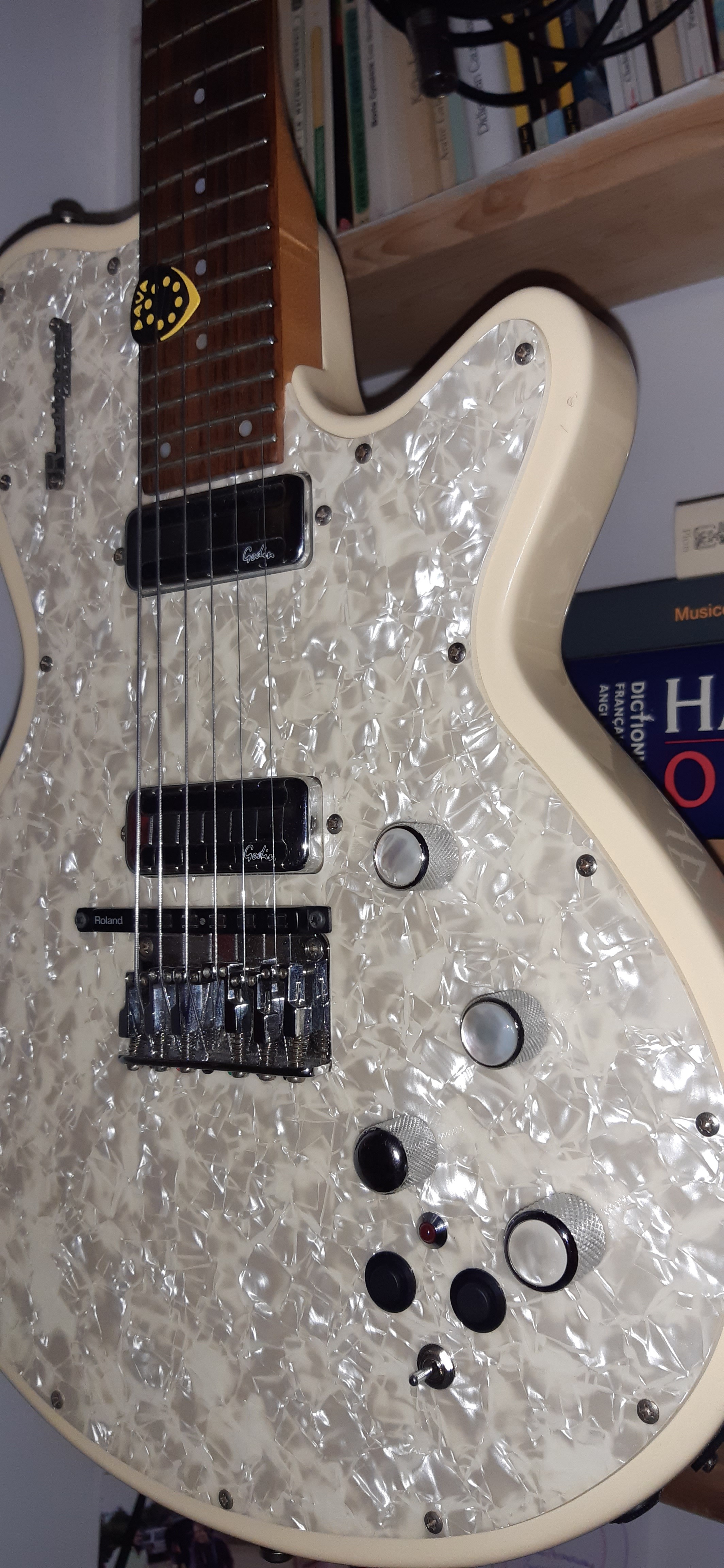 Radiator - Godin Radiator - Audiofanzine