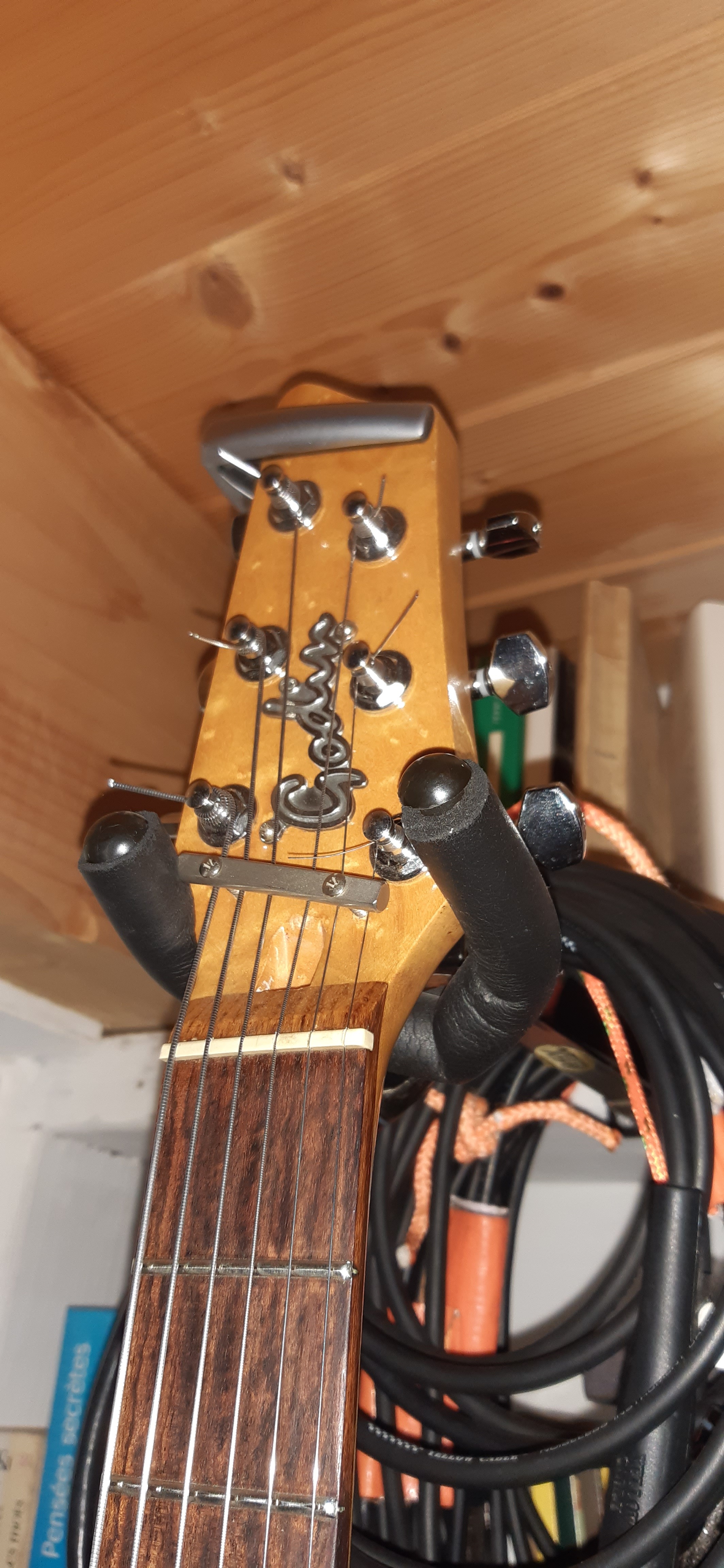 Radiator - Godin Radiator - Audiofanzine