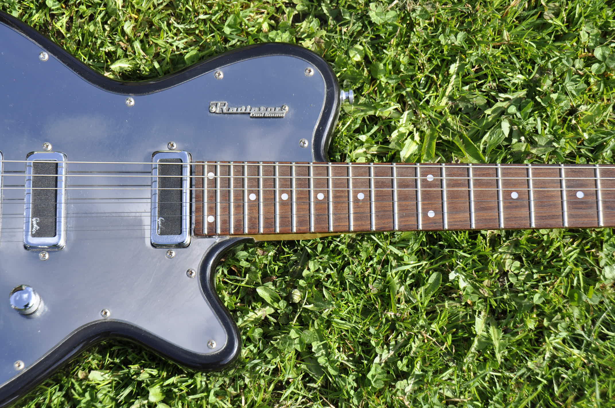 Godin Radiator image (#593247) - Audiofanzine