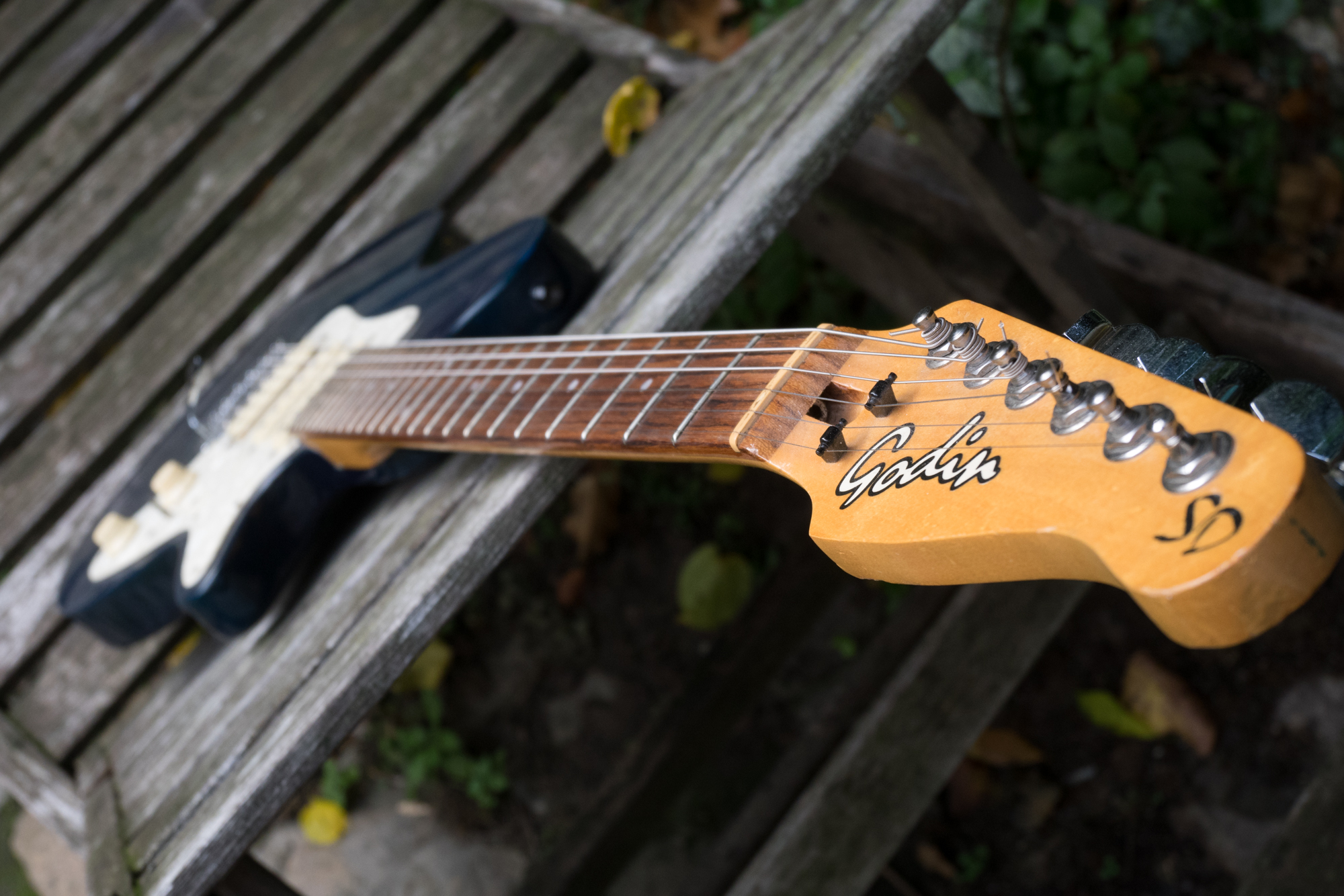 SD ROSEWOOD - Godin SD Rosewood - Audiofanzine