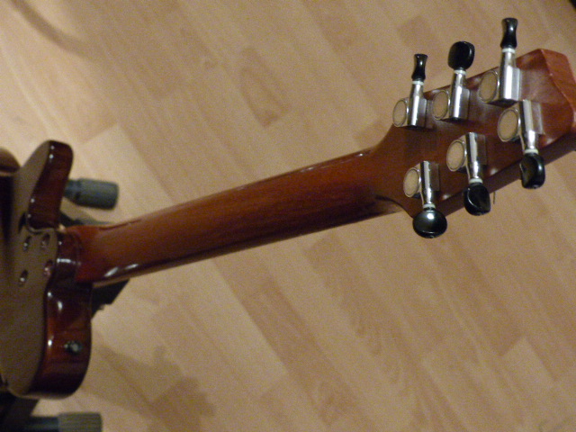 Solidac - Godin Solidac - Audiofanzine