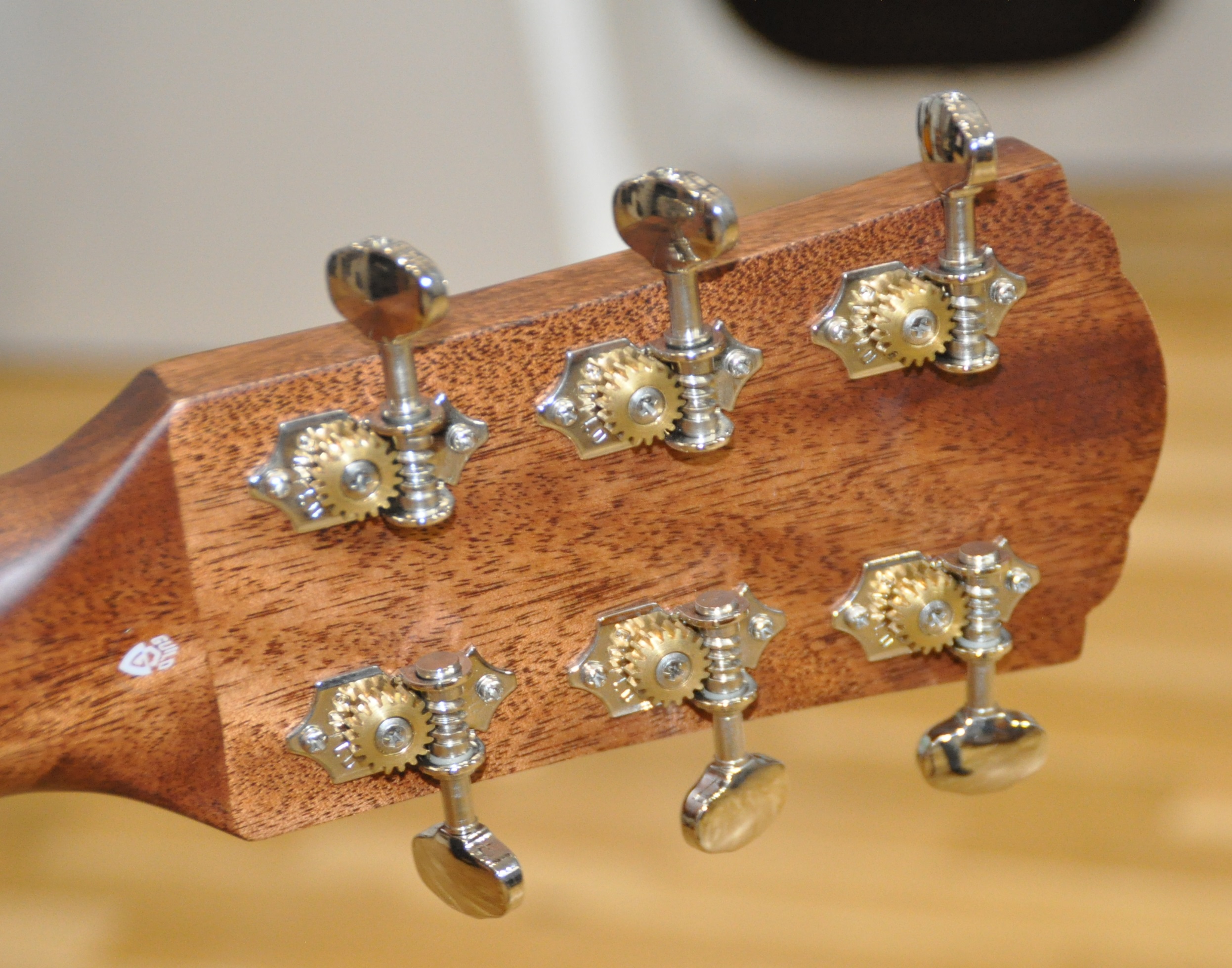 DS-240 Memoir - Guild DS-240 Memoir - Audiofanzine