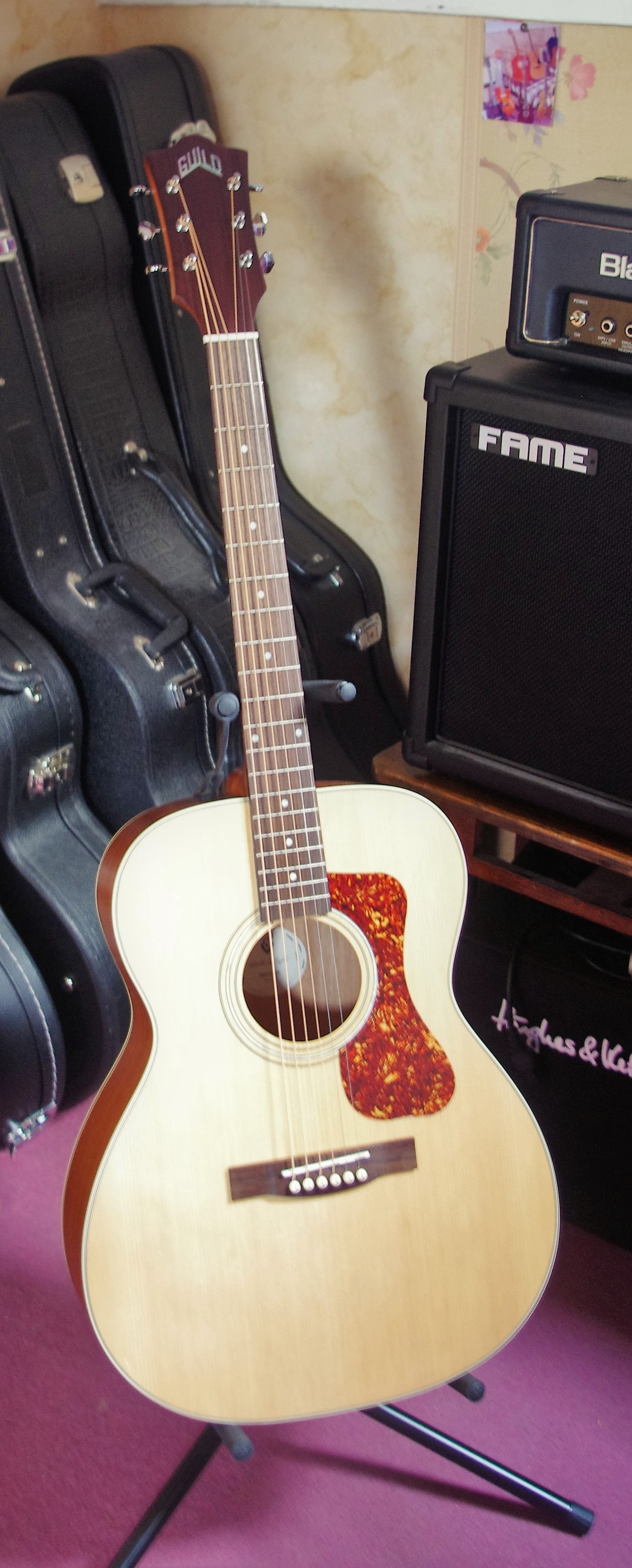 OM-240E - Guild OM-240E - Audiofanzine