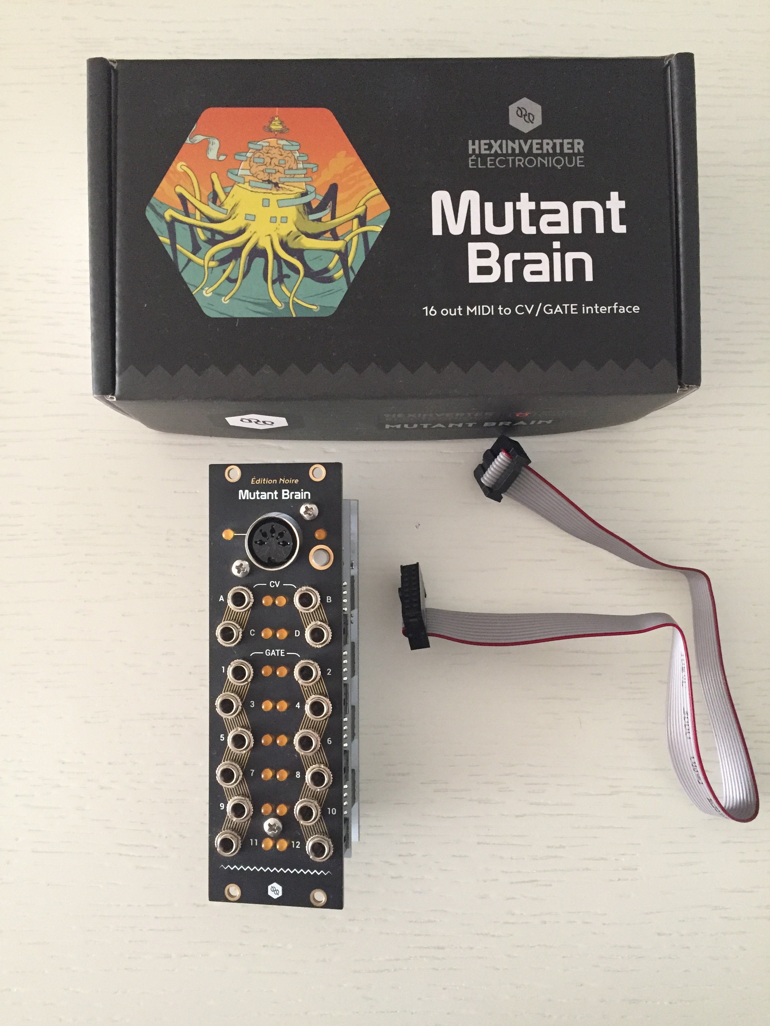 Mutant Brain - Hexinverter Mutant Brain - Audiofanzine