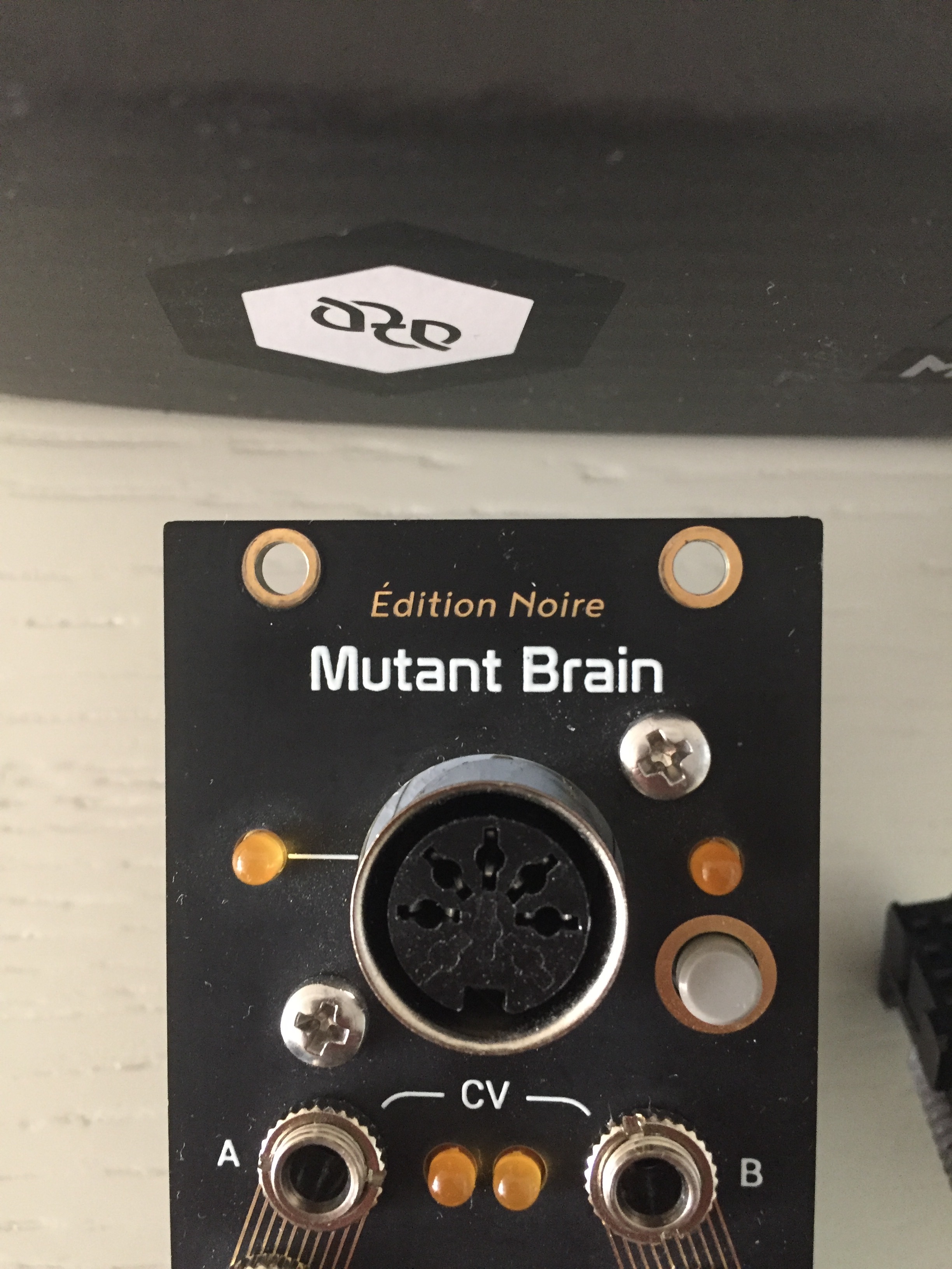 Mutant Brain - Hexinverter Mutant Brain - Audiofanzine