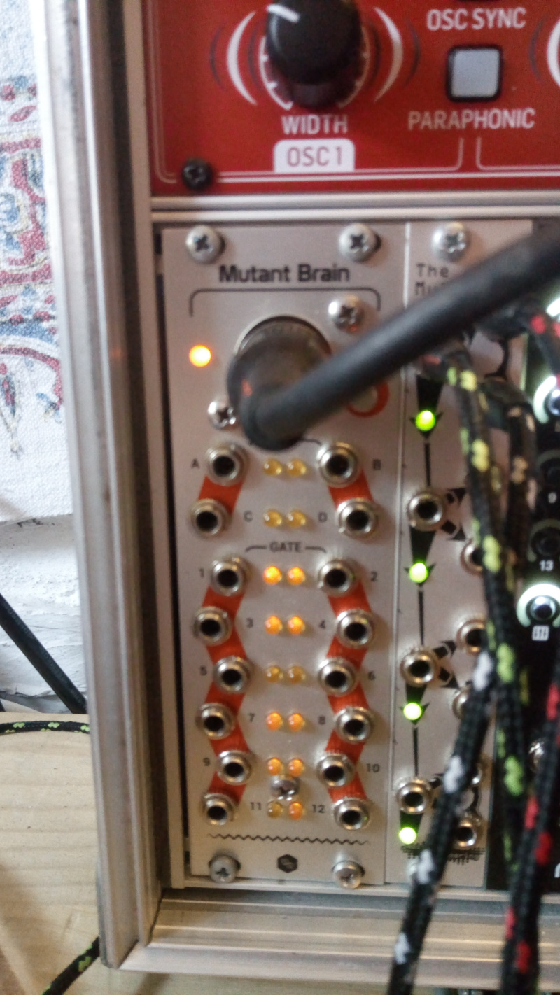 Mutant Brain - Hexinverter Mutant Brain - Audiofanzine