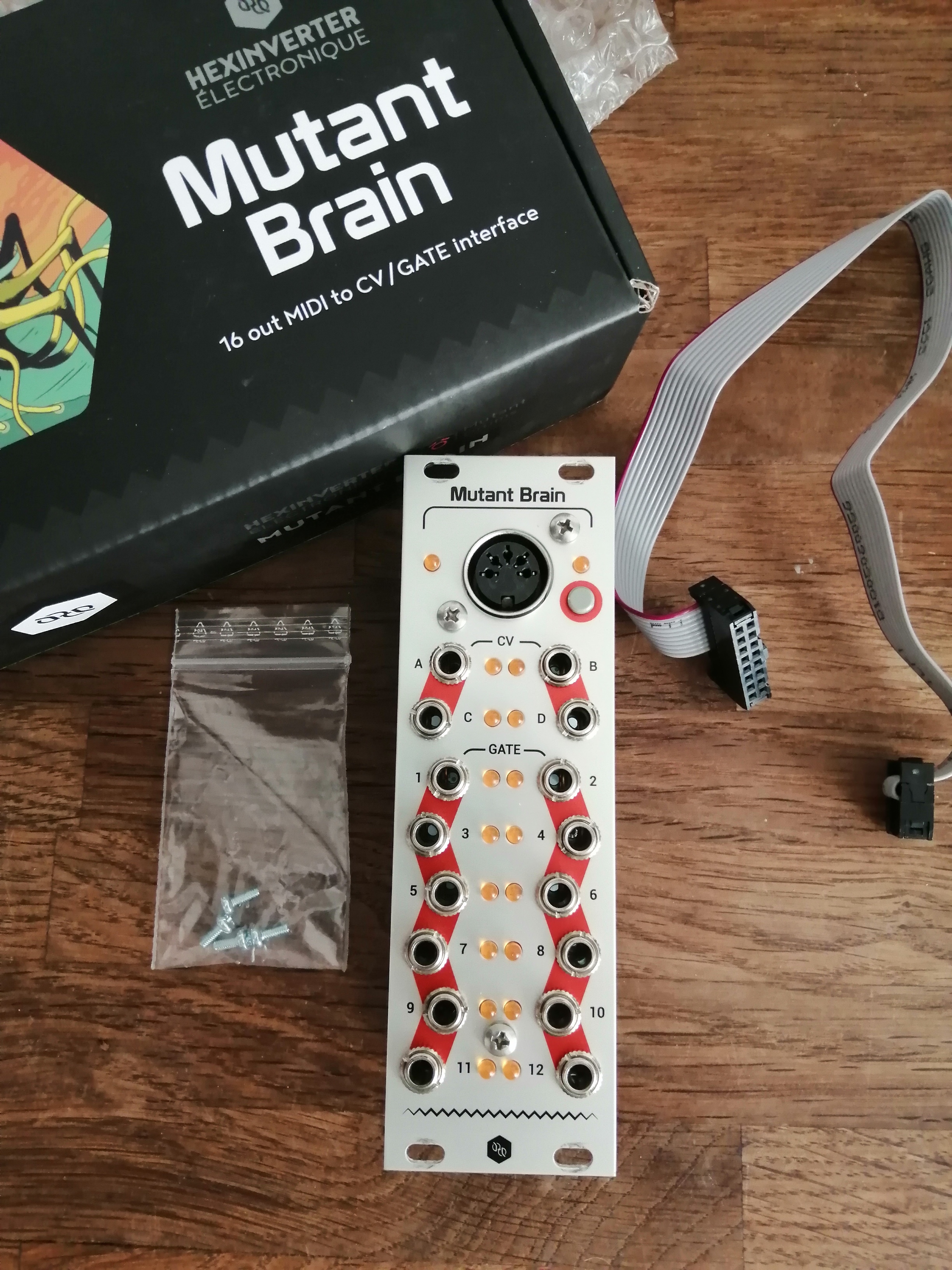 Mutant Brain - Hexinverter Mutant Brain - Audiofanzine