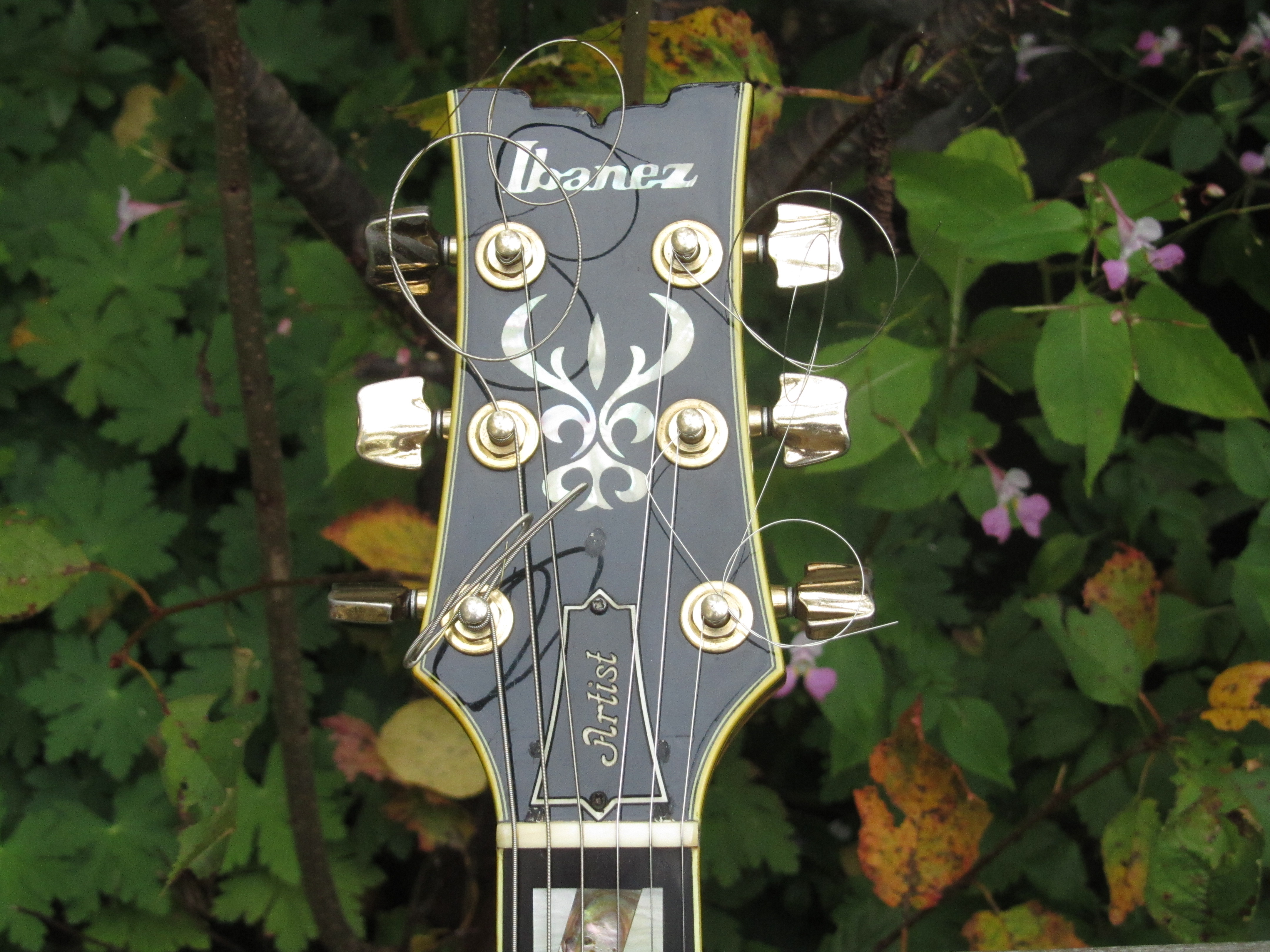 AR300 - Ibanez AR300 - Audiofanzine