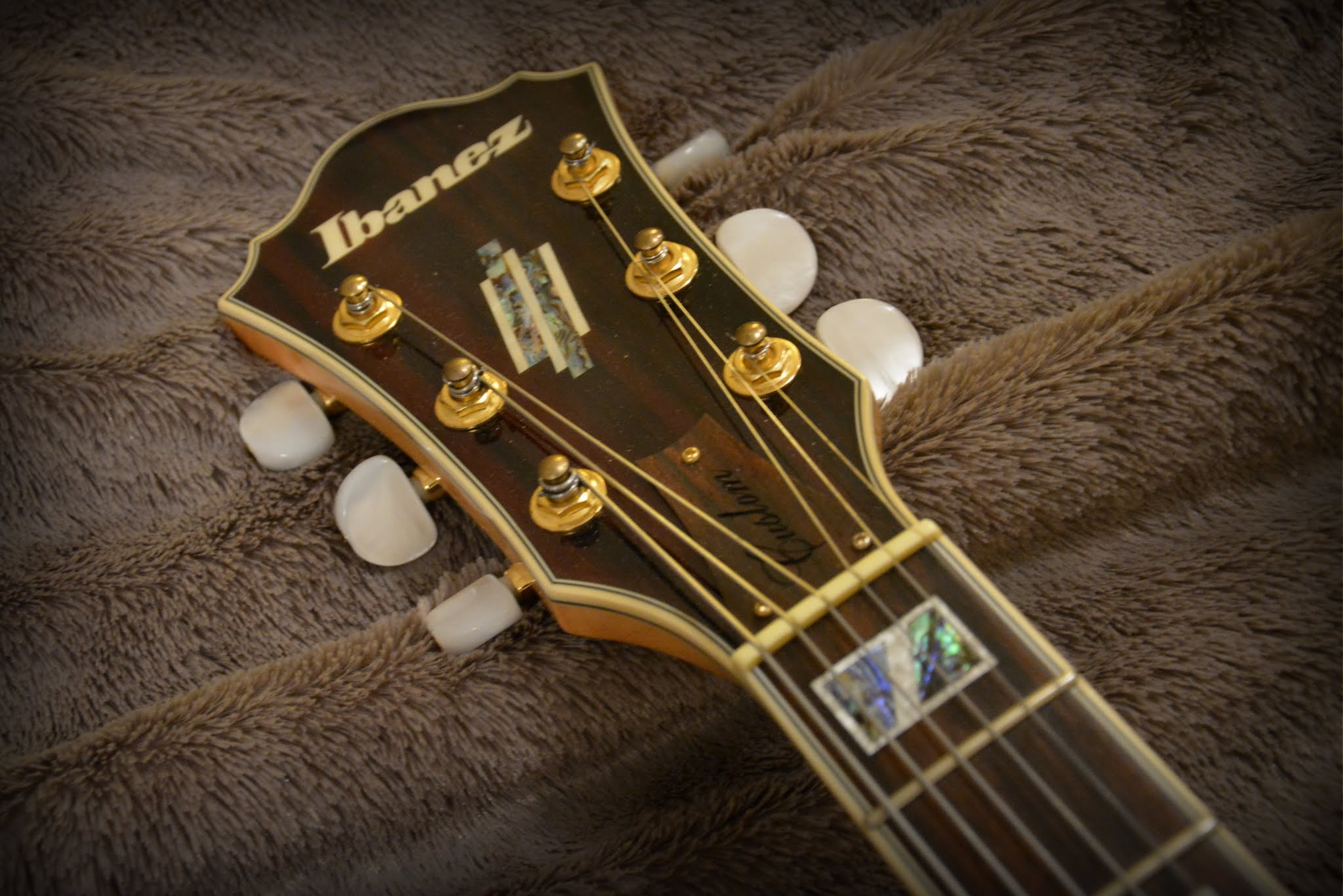 AS103 - Ibanez AS103 - Audiofanzine