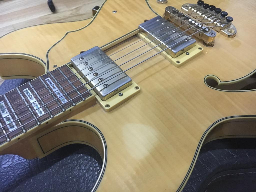 AS103 - Ibanez AS103 - Audiofanzine