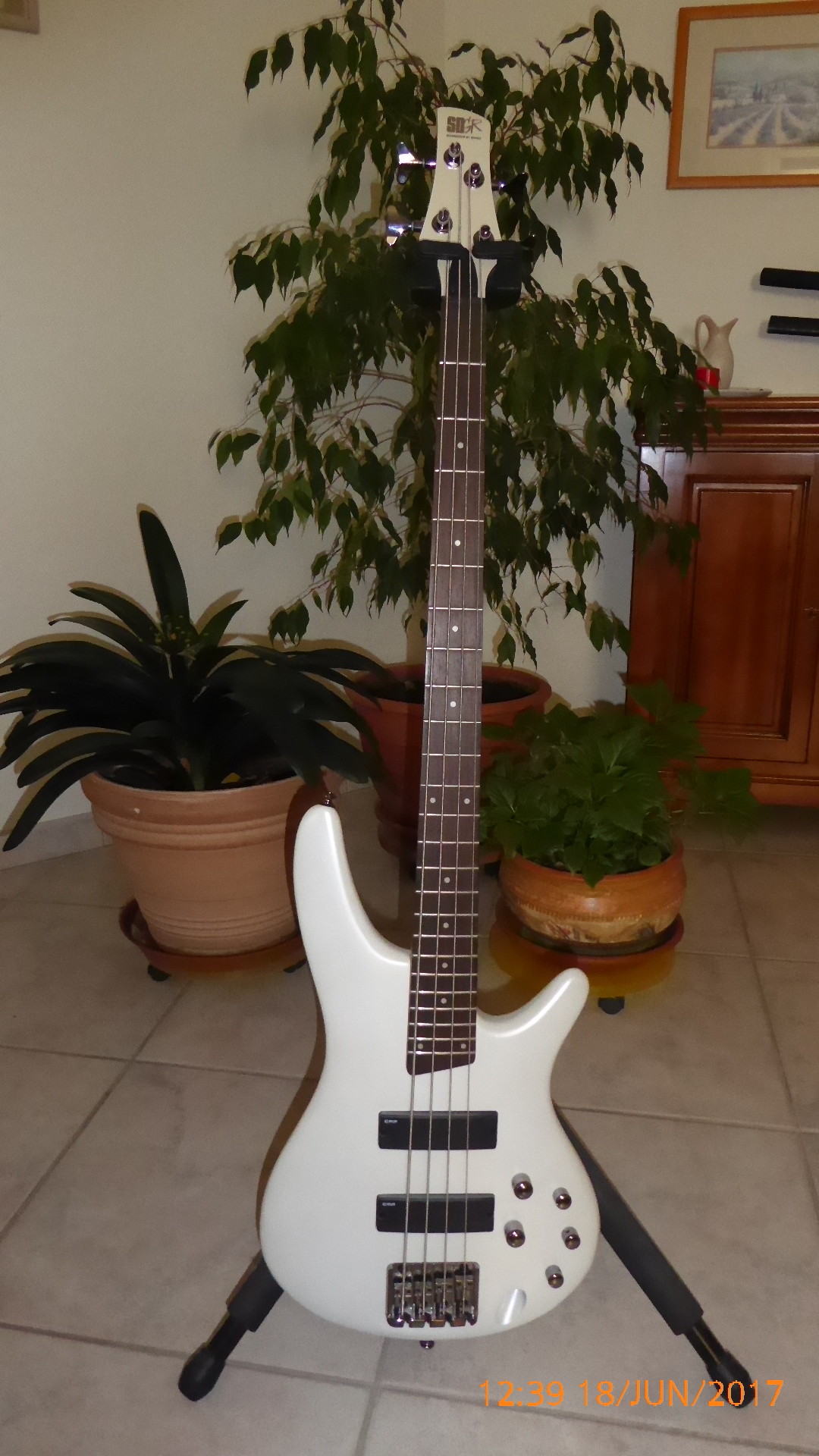 SDGR - Ibanez SDGR - Audiofanzine