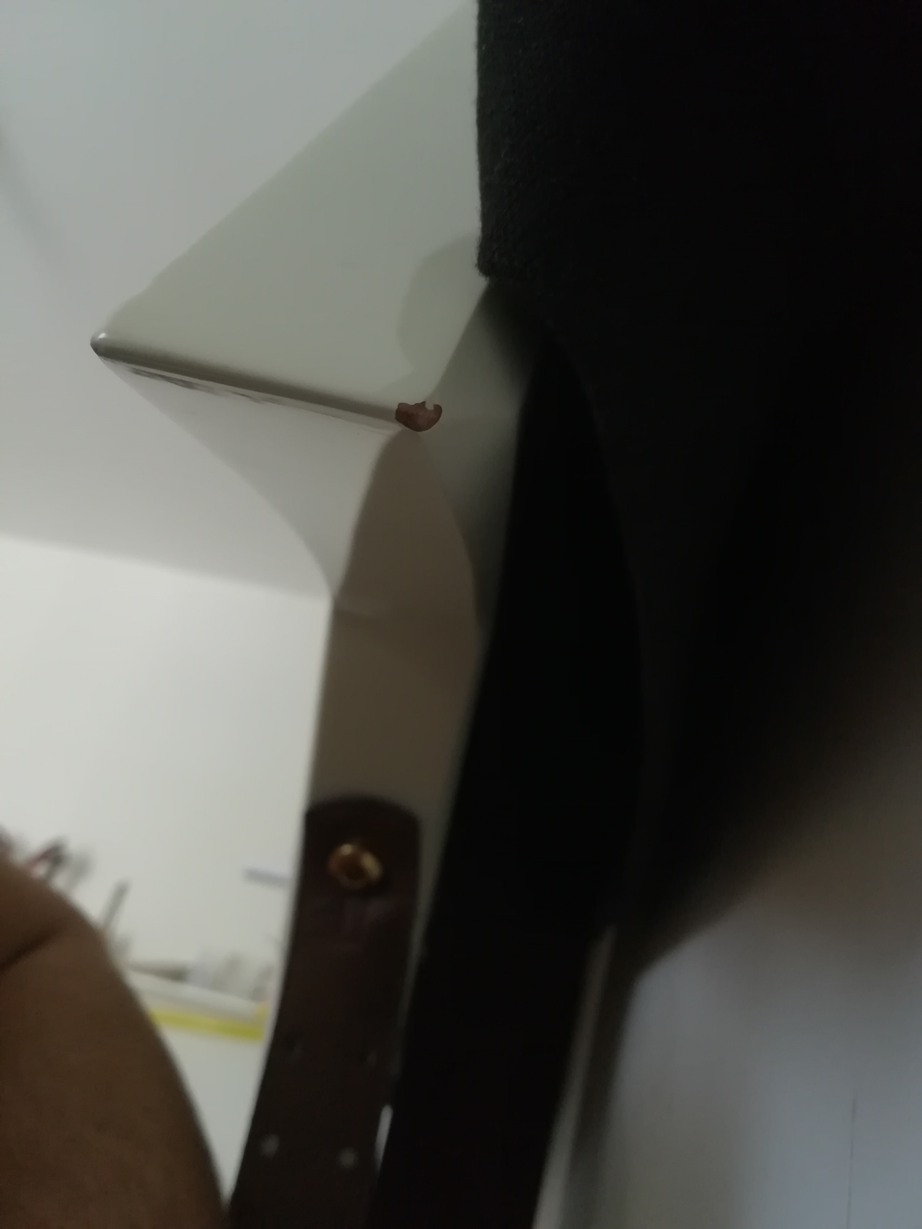 RR5 Randy Rhoads - Jackson RR5 Randy Rhoads - Audiofanzine