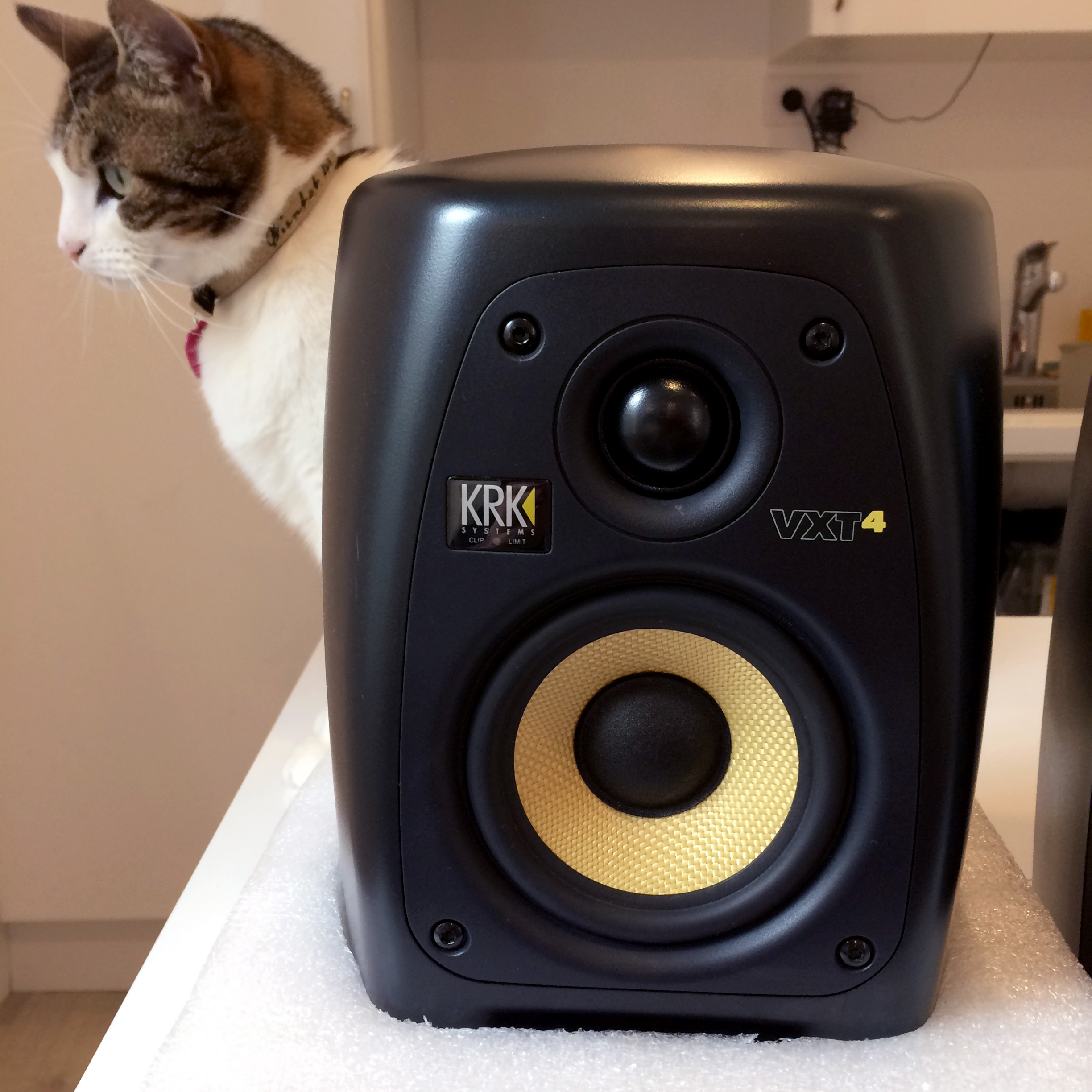 VXT4 - KRK VXT4 - Audiofanzine