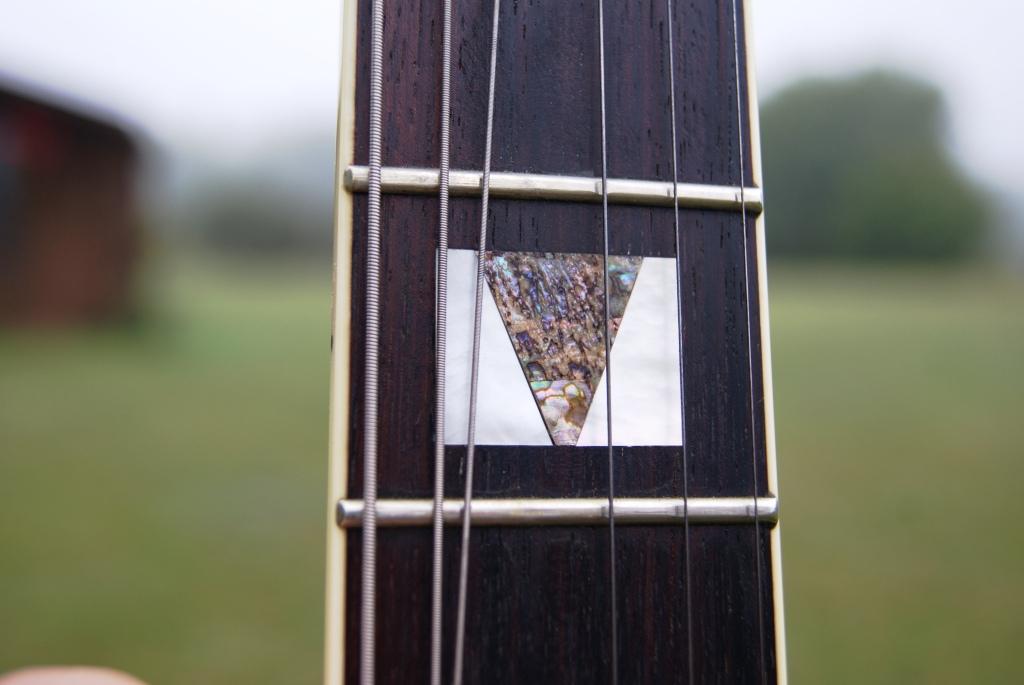 RS-4 - Larrivée RS-4 - Audiofanzine