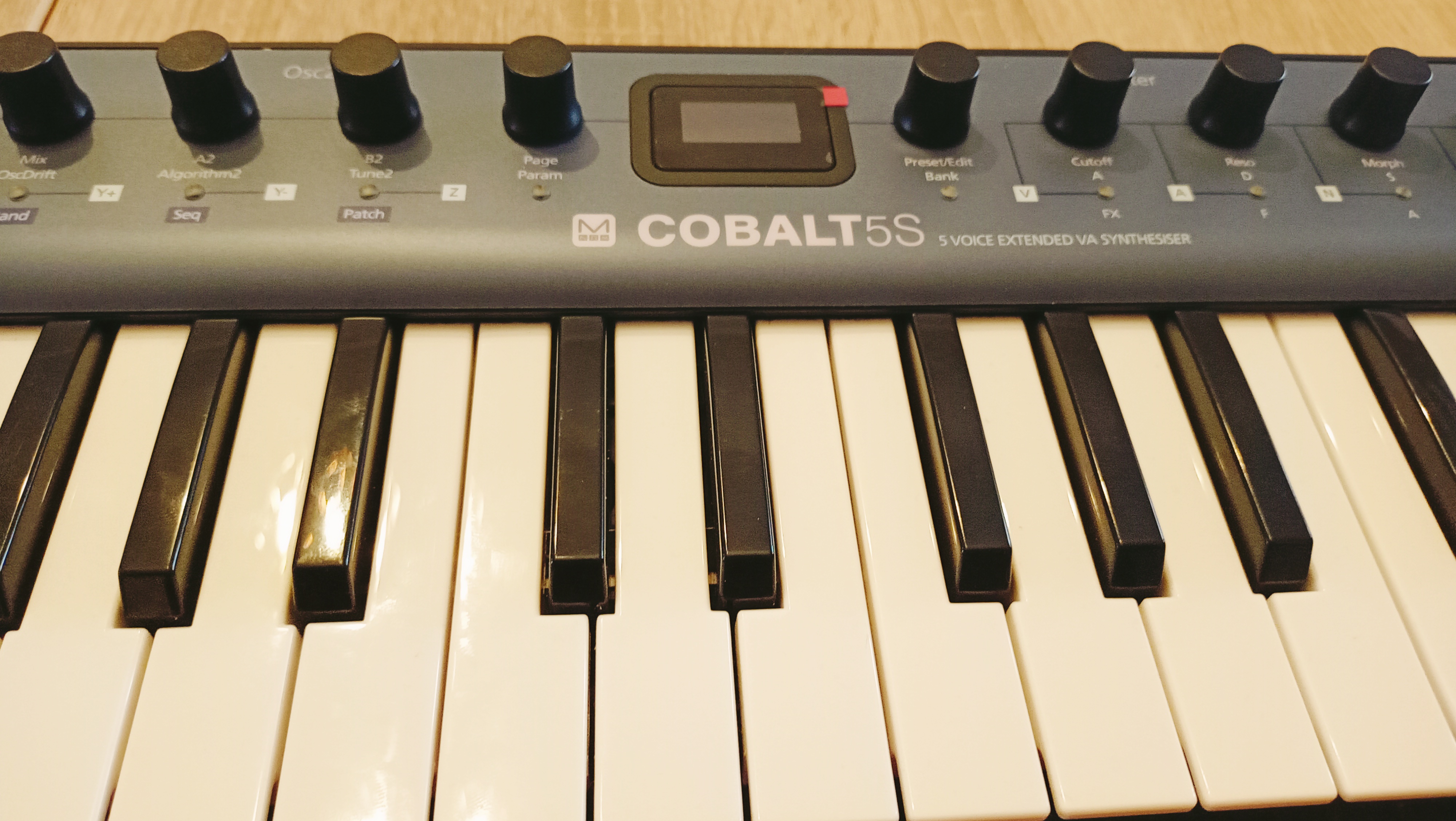 Cobalt 5S - Modal Electronics Cobalt 5S - Audiofanzine