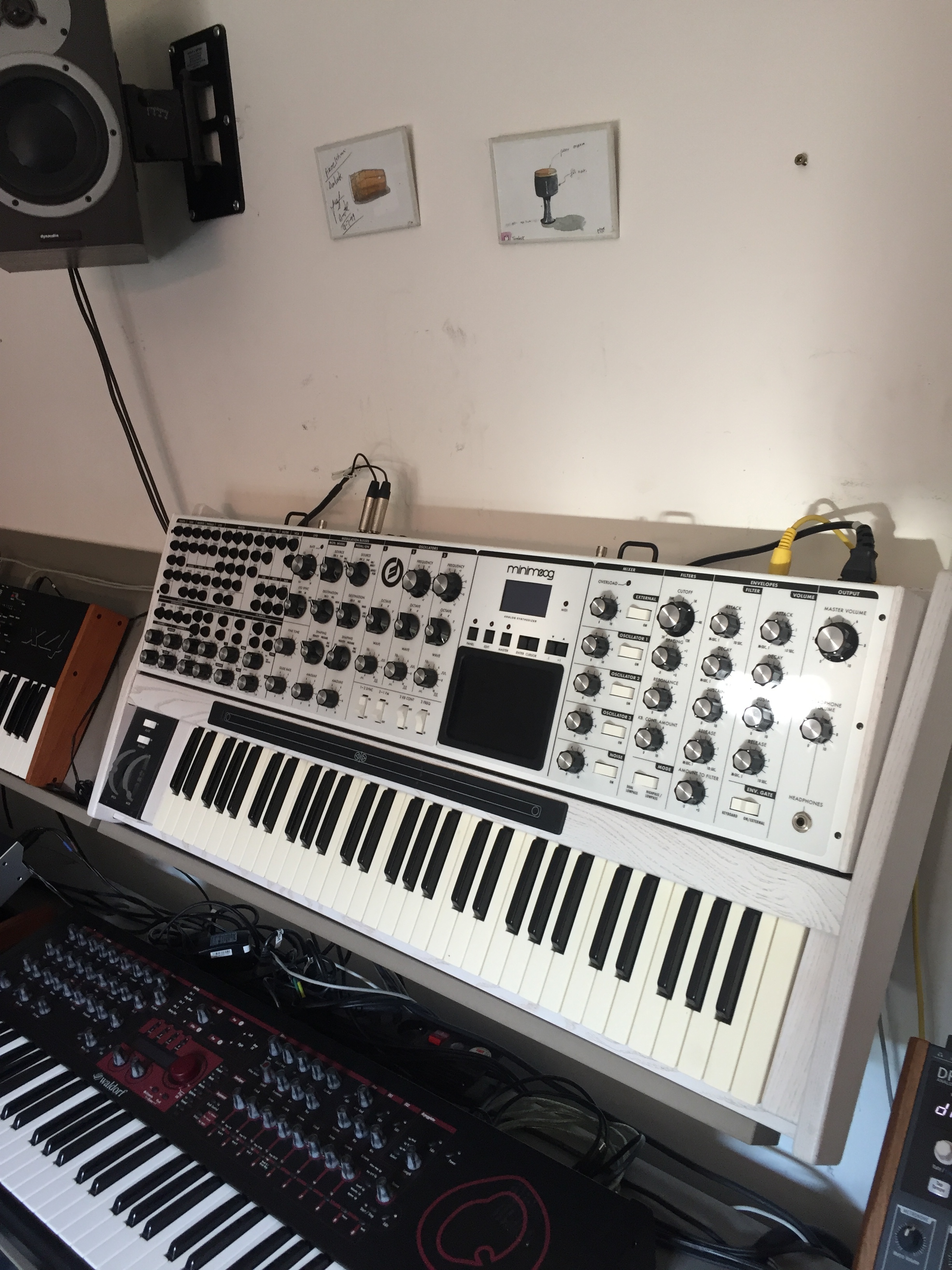 White Moog Voyager