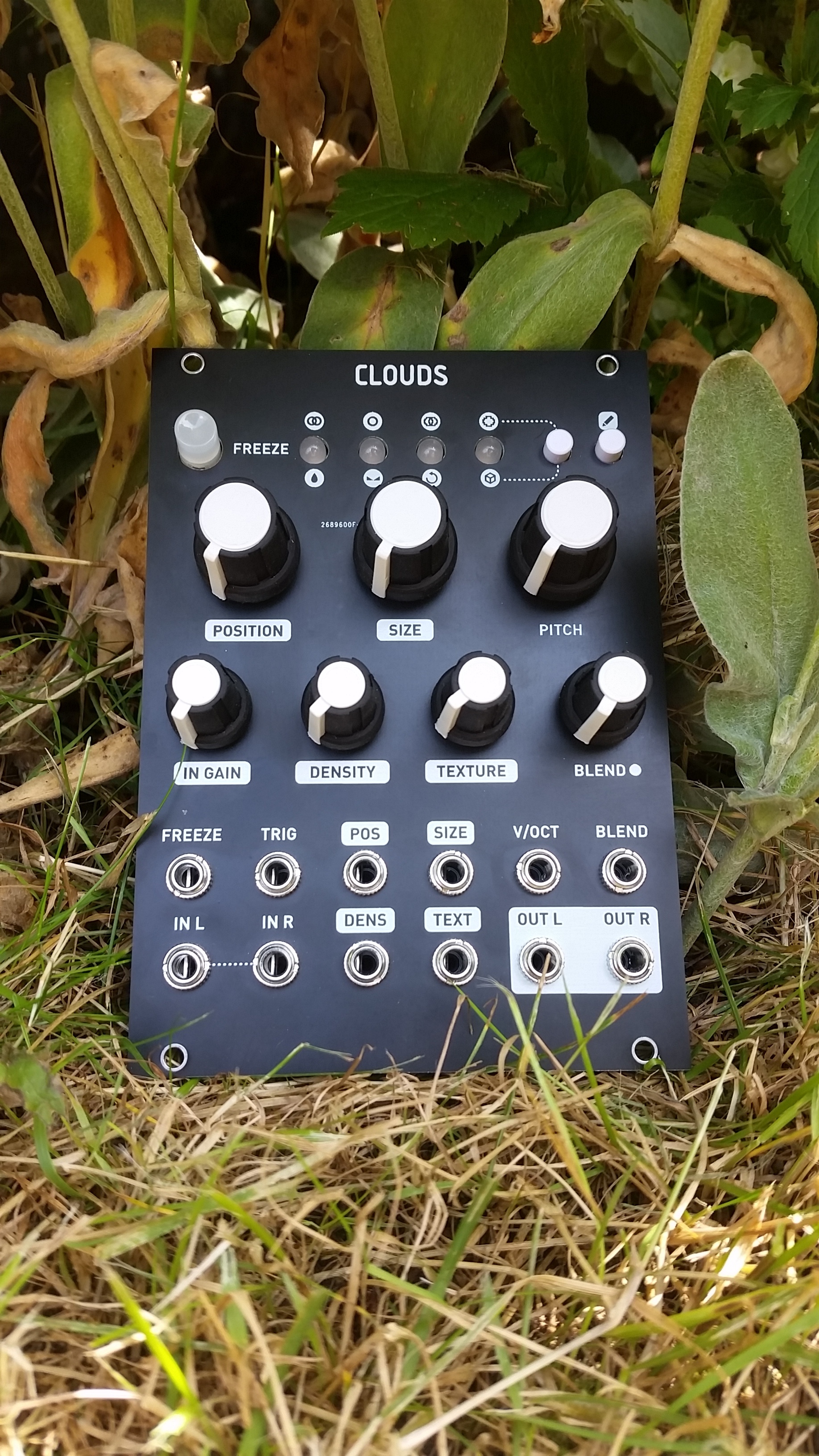 Clouds - Mutable Instruments Clouds - Audiofanzine