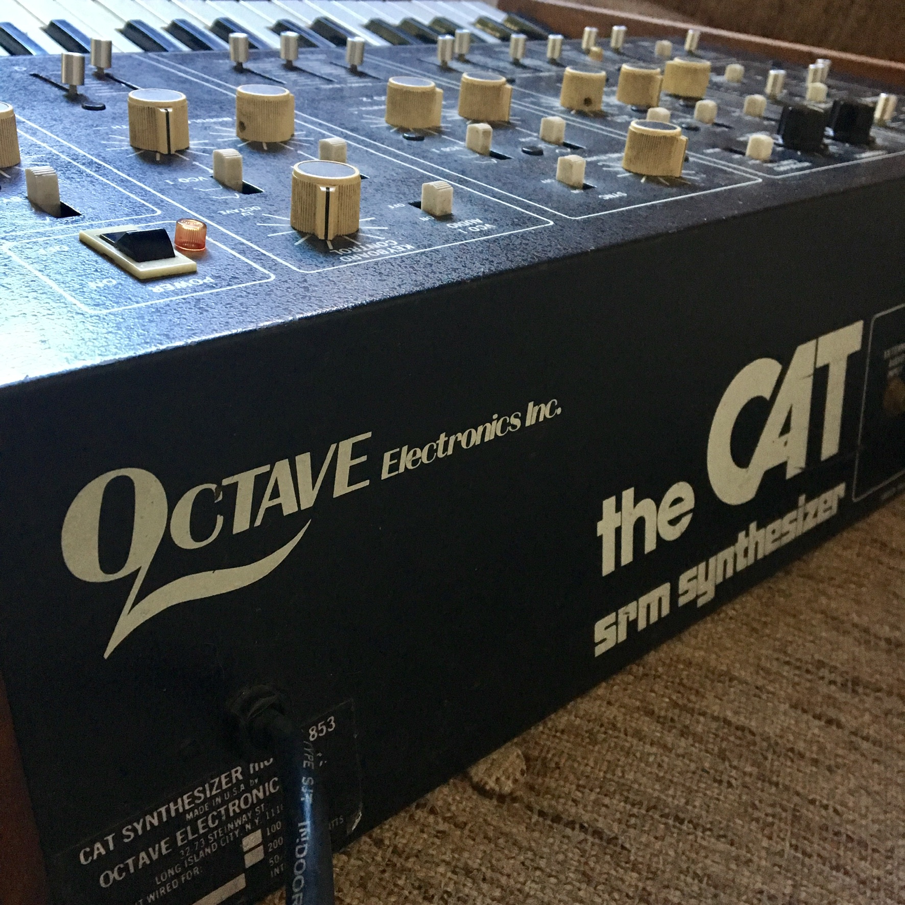The Cat - Octave The Cat - Audiofanzine