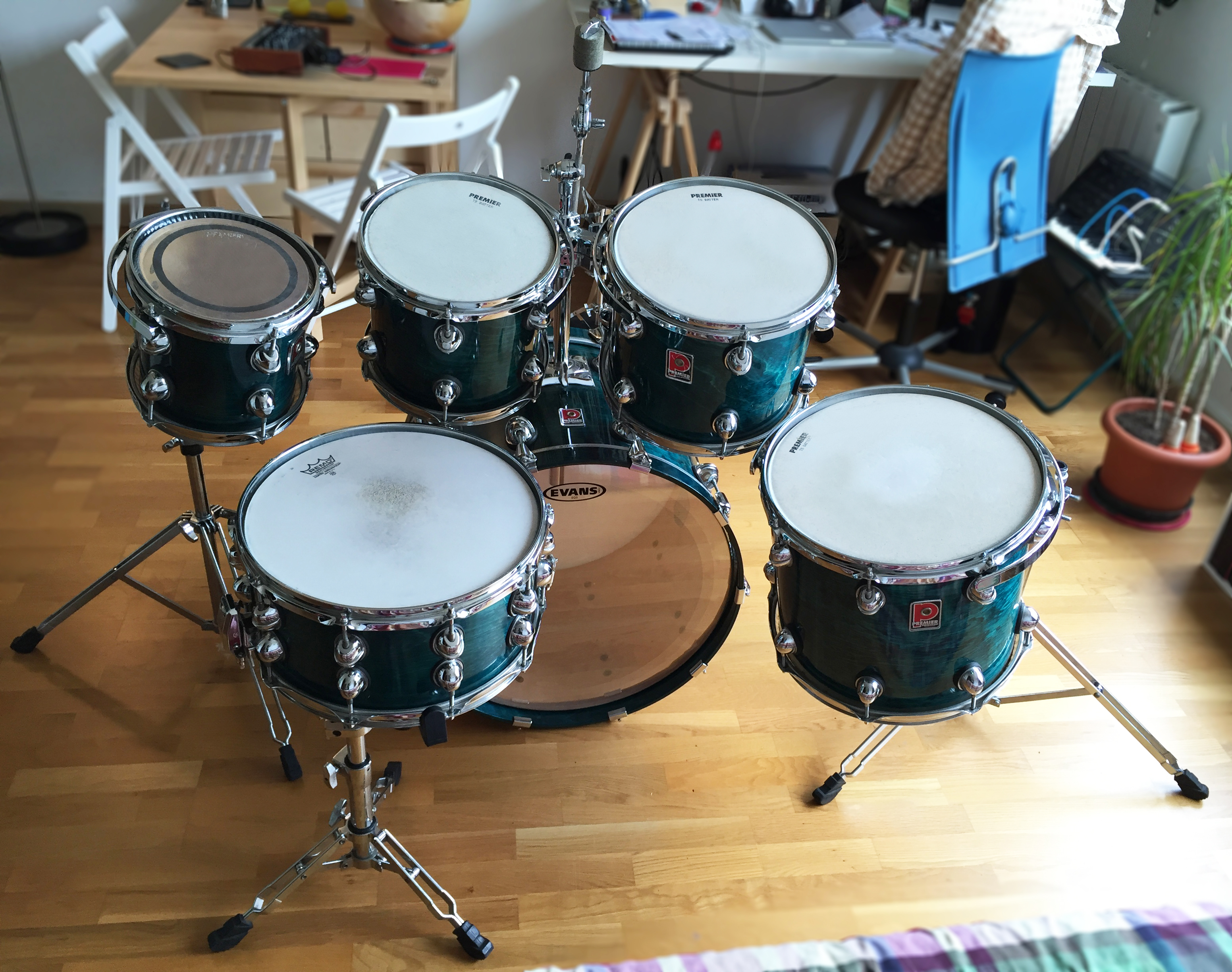 GENISTA - Premier Genista - Audiofanzine