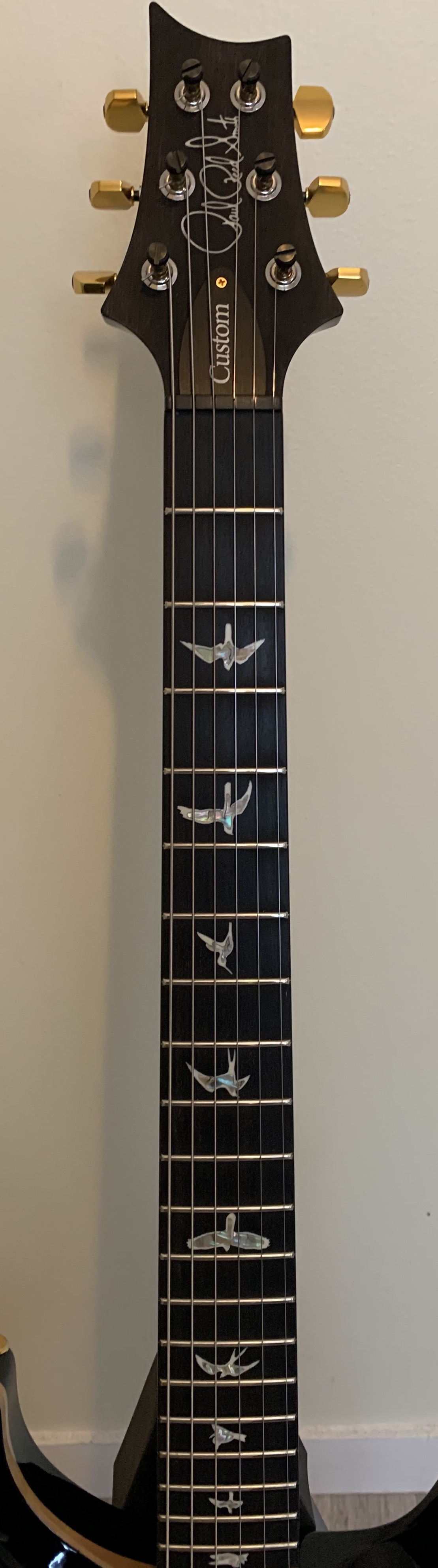 Custom 24 10 Top - PRS Custom 24 10 Top - Audiofanzine