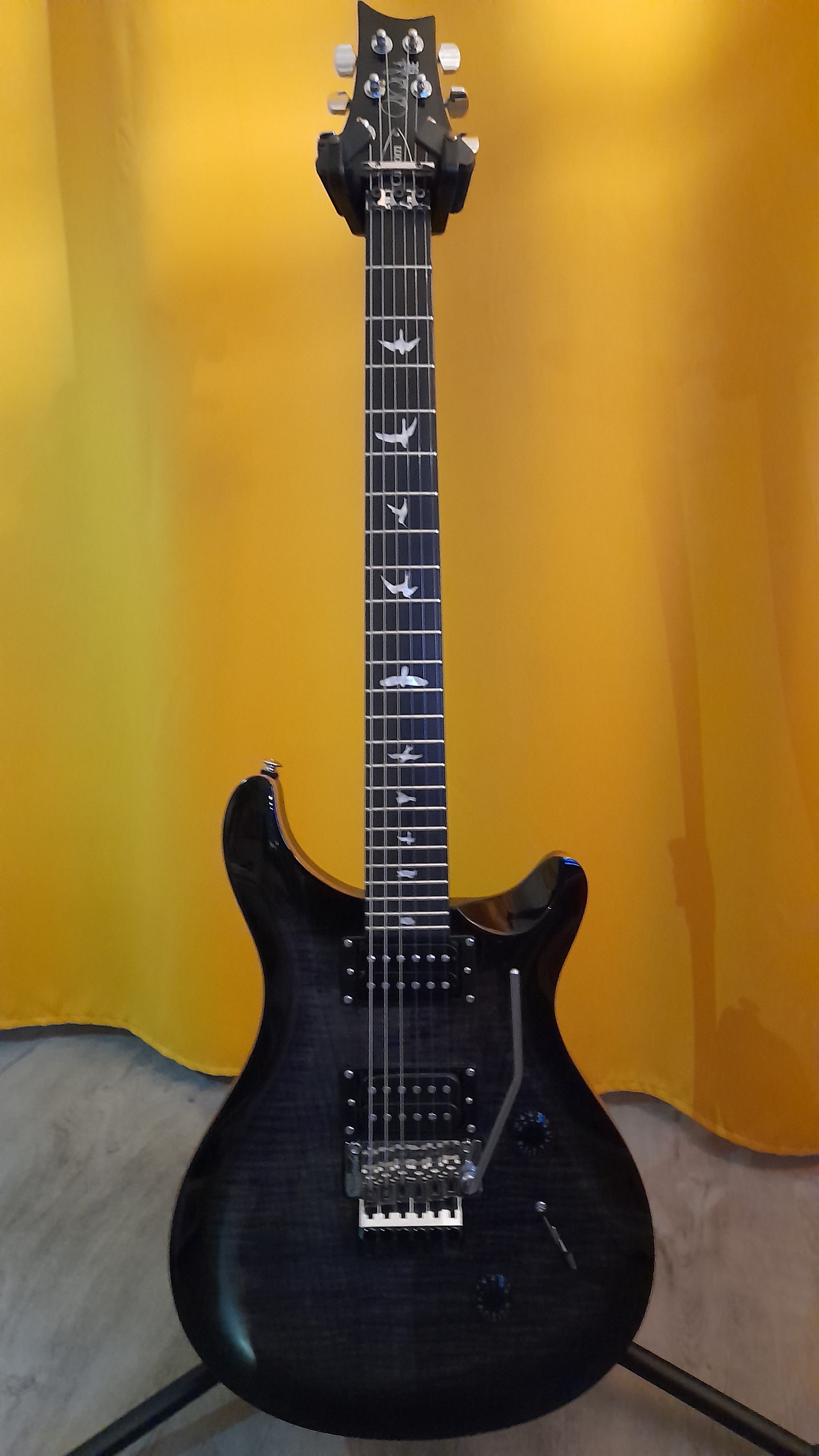 SE Custom 24 Floyd - PRS SE Custom 24 Floyd - Audiofanzine